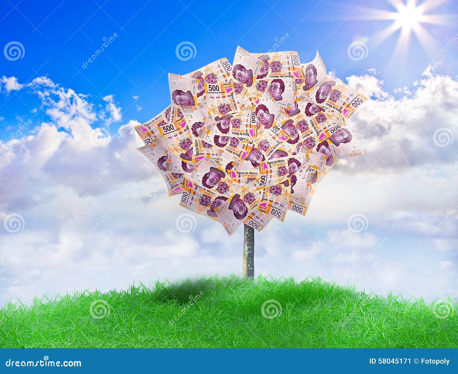 Mexican Money Tree stock image. Image of cash, annuity - 58045171