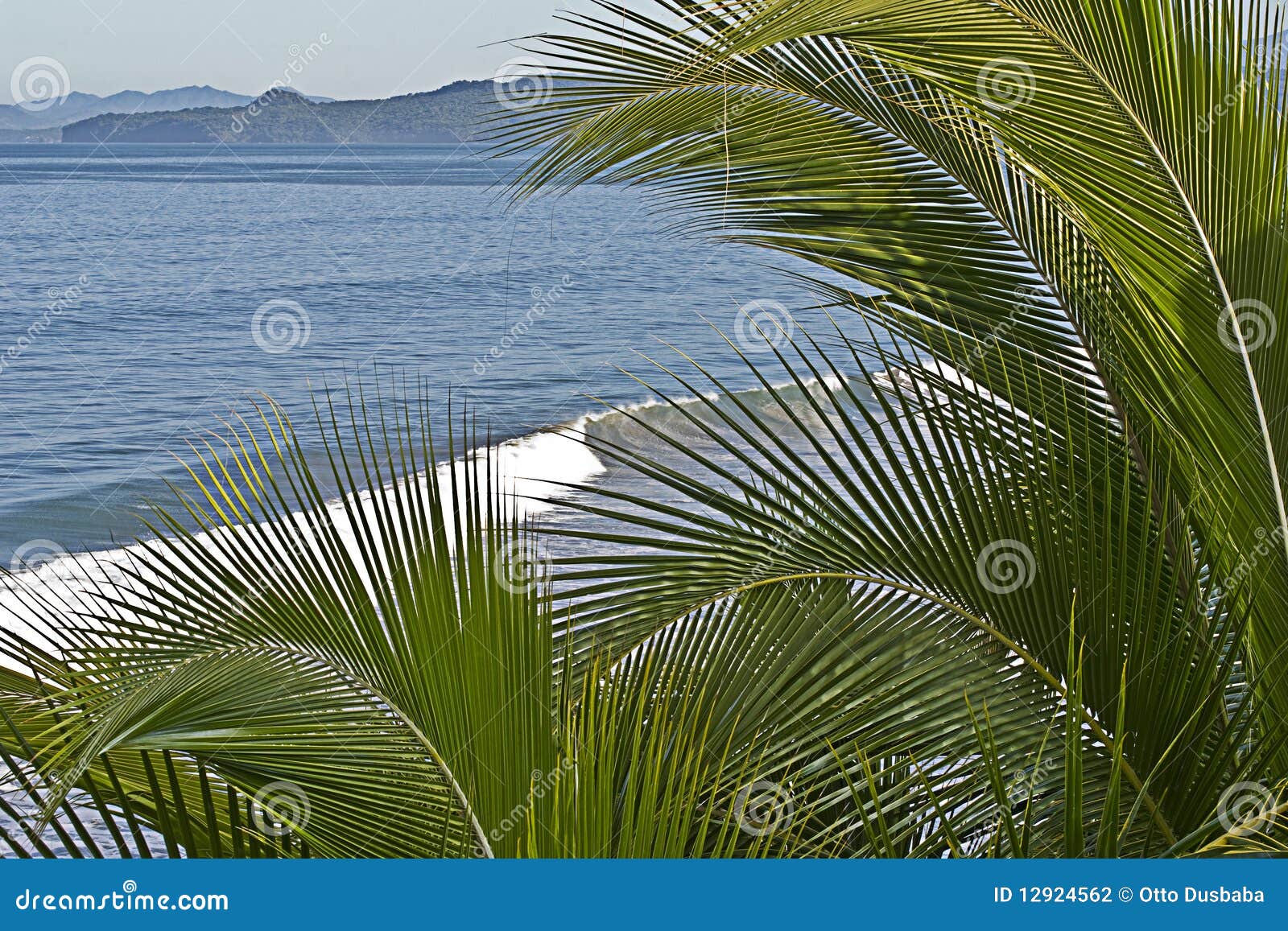Mexican Pacific Ocean Coast with Palm Trees Stock Photo - Image of ...