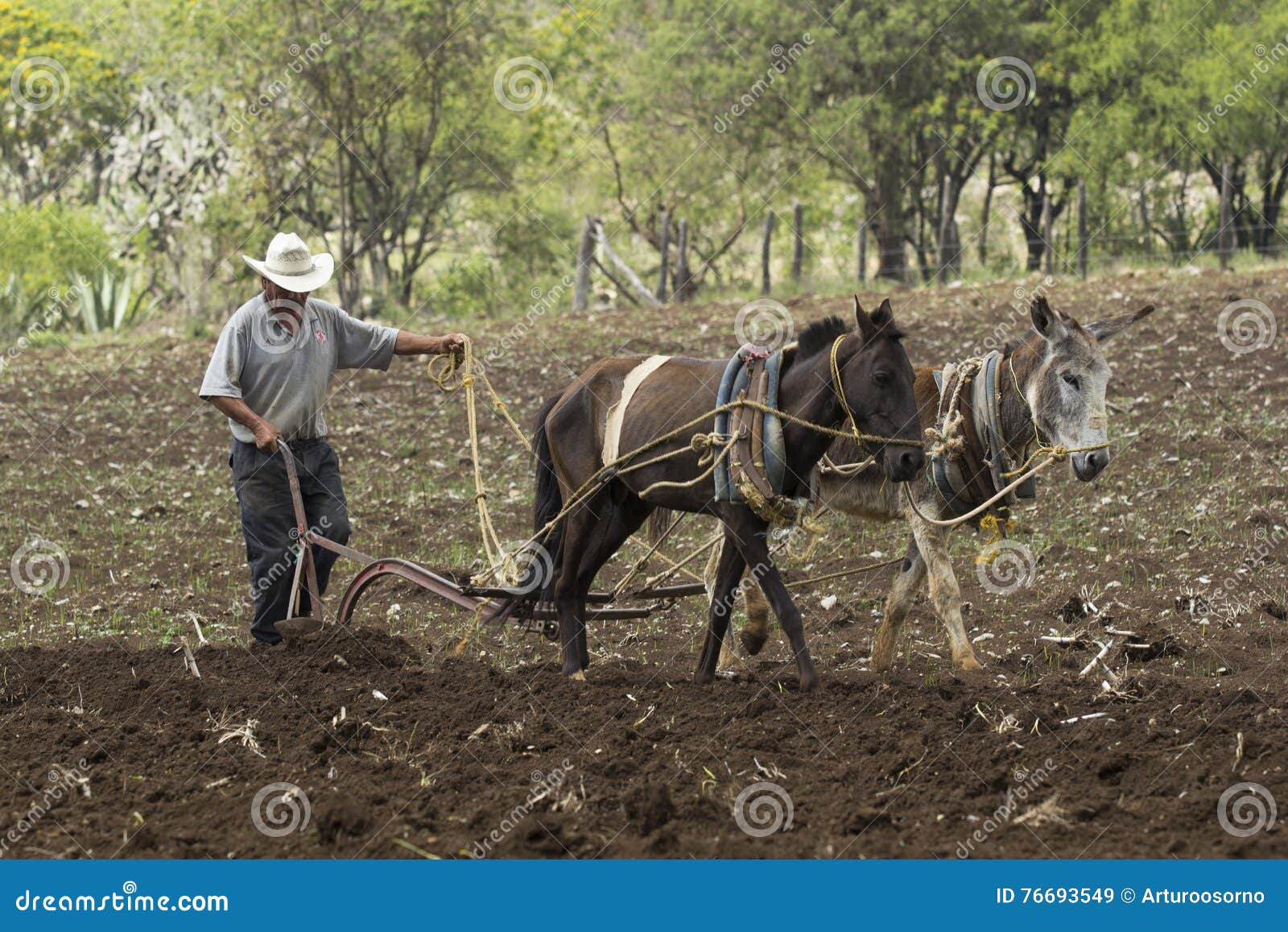 Mexican peasant editorial stock image. Image of america - 76693549