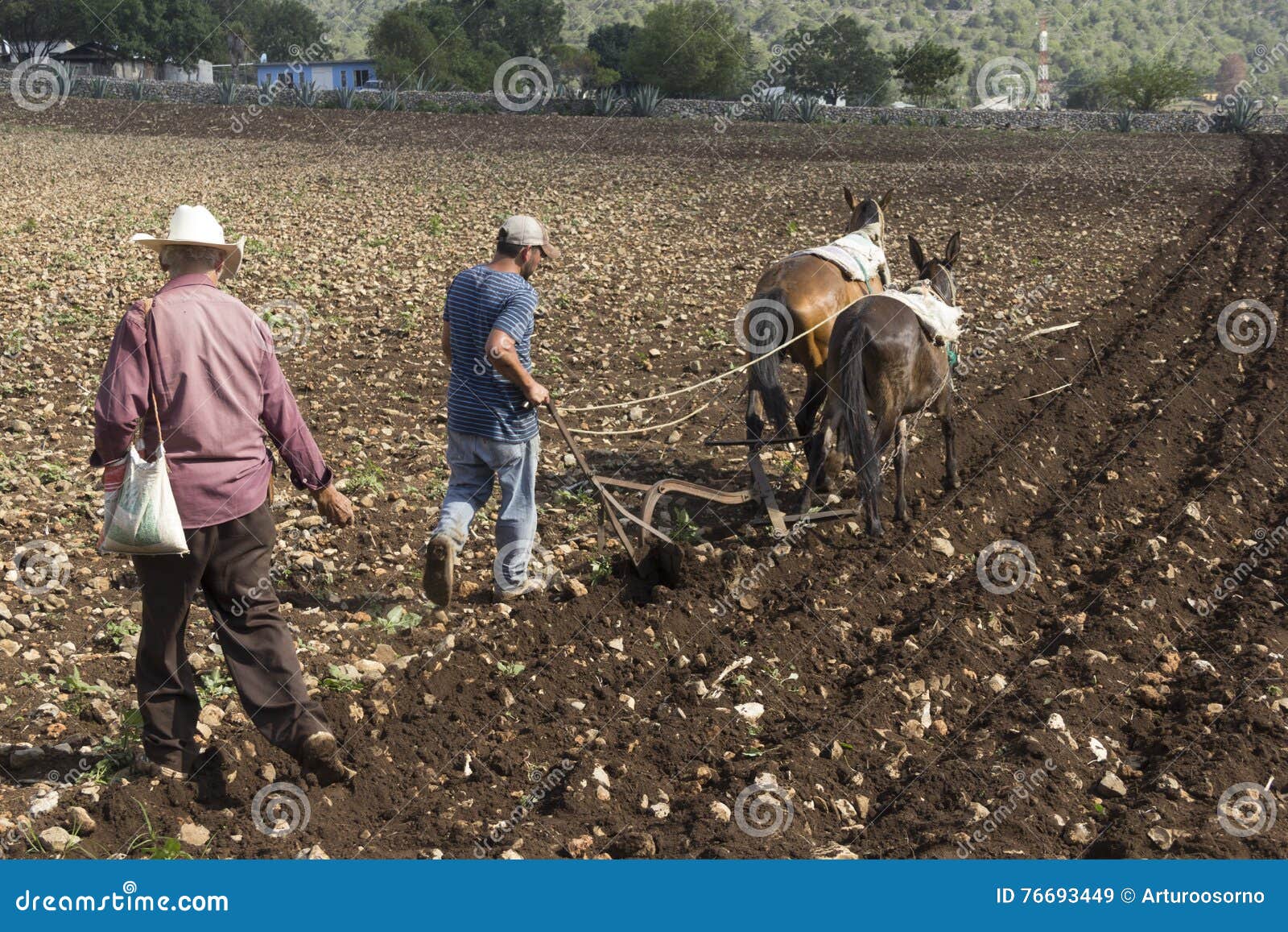 Two Mexican Peasants Sowing the Earth Editorial Stock Image - Image of ...