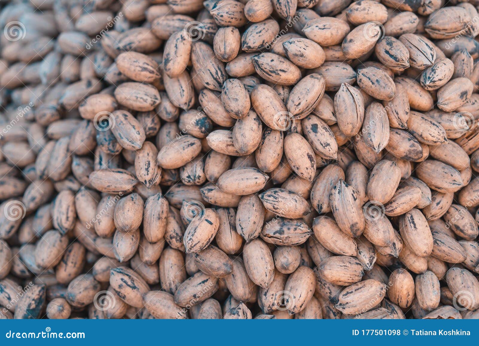 Mexican roasted nuts stock photo. Image of snack, healthy - 177501098