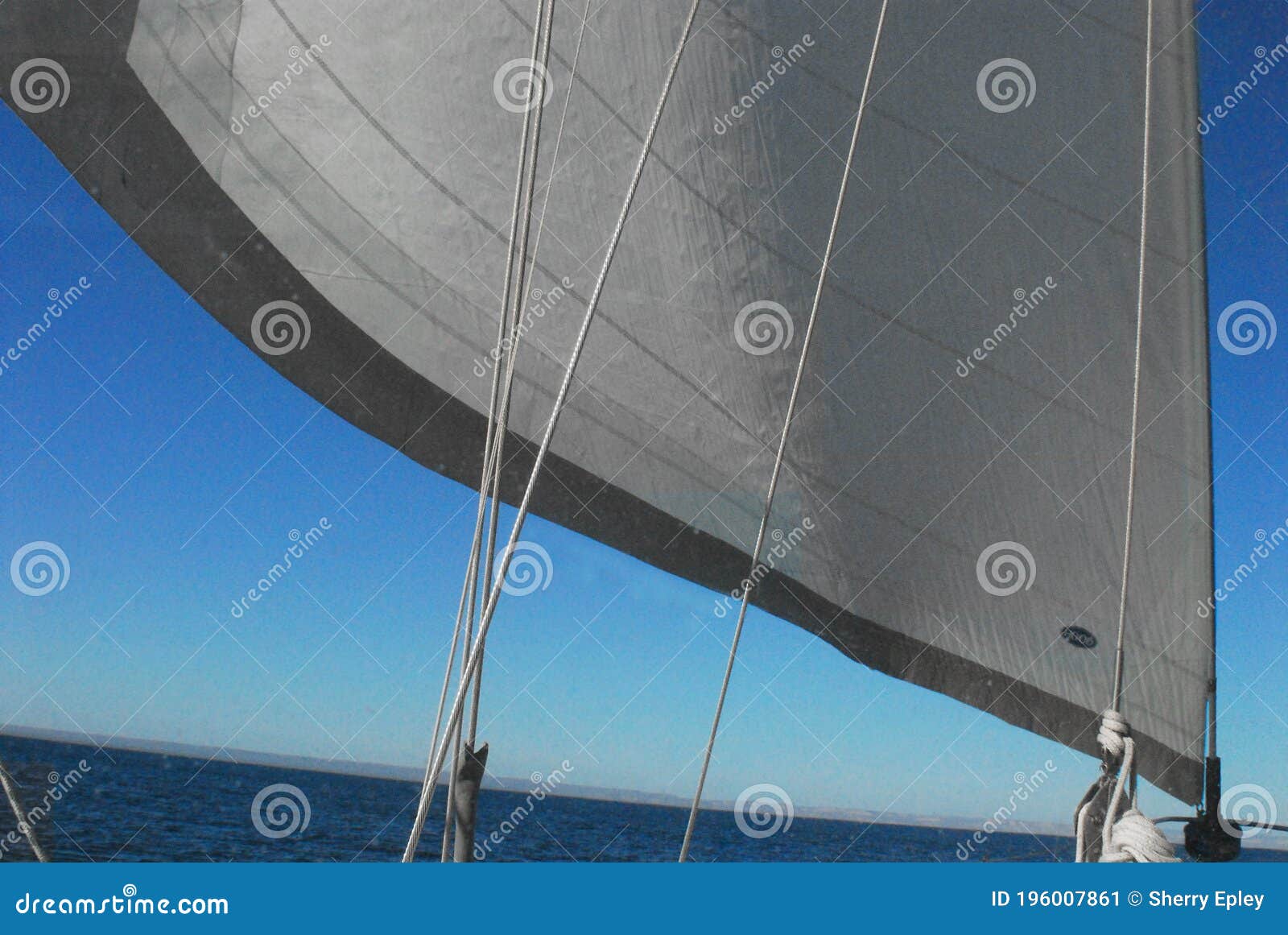 Mexico- BaJa- Close Up of a Sail Full of Wind Stock Image - Image of ...