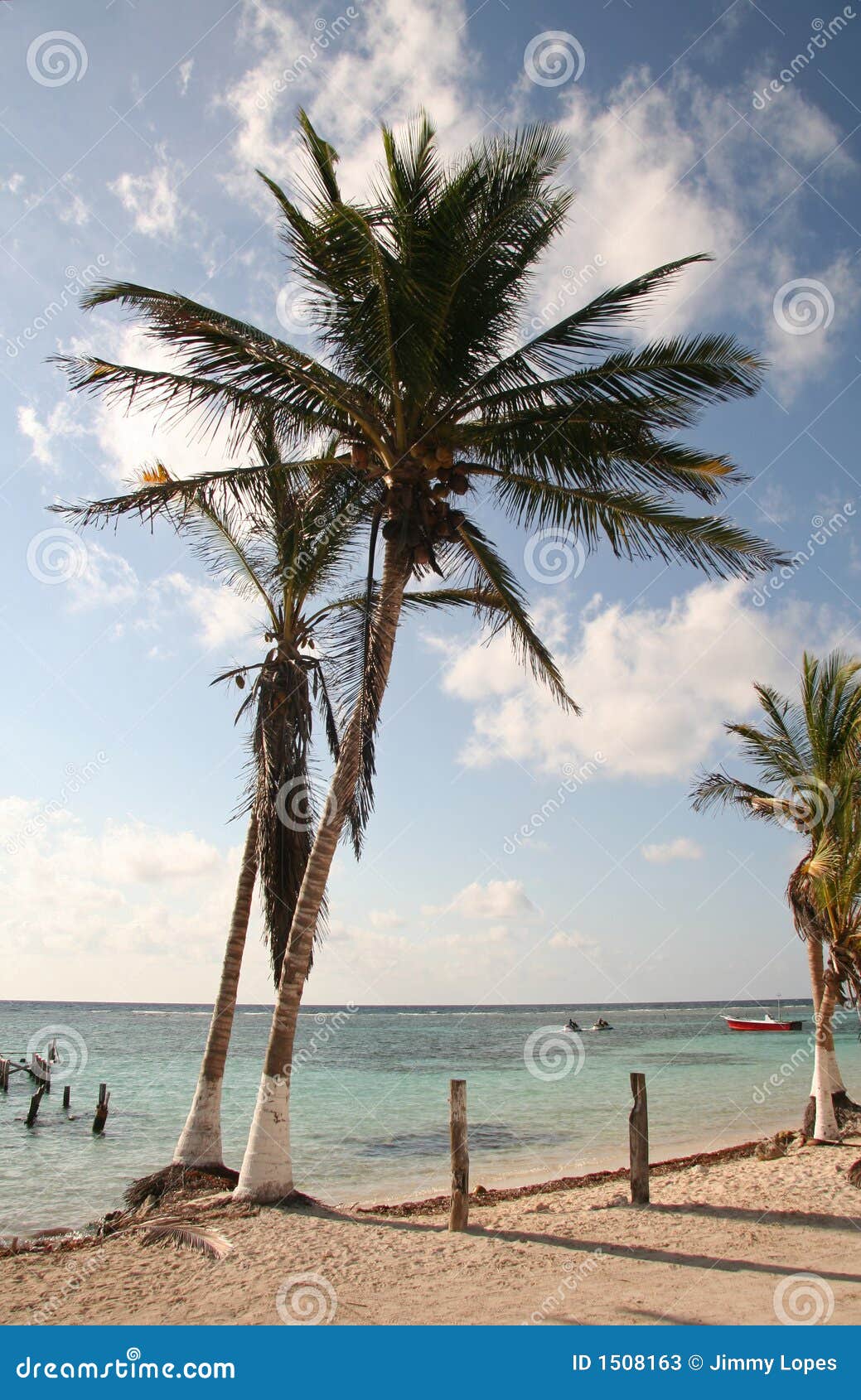 Mexico Beach Coastline stock image. Image of travel, costa - 1508163