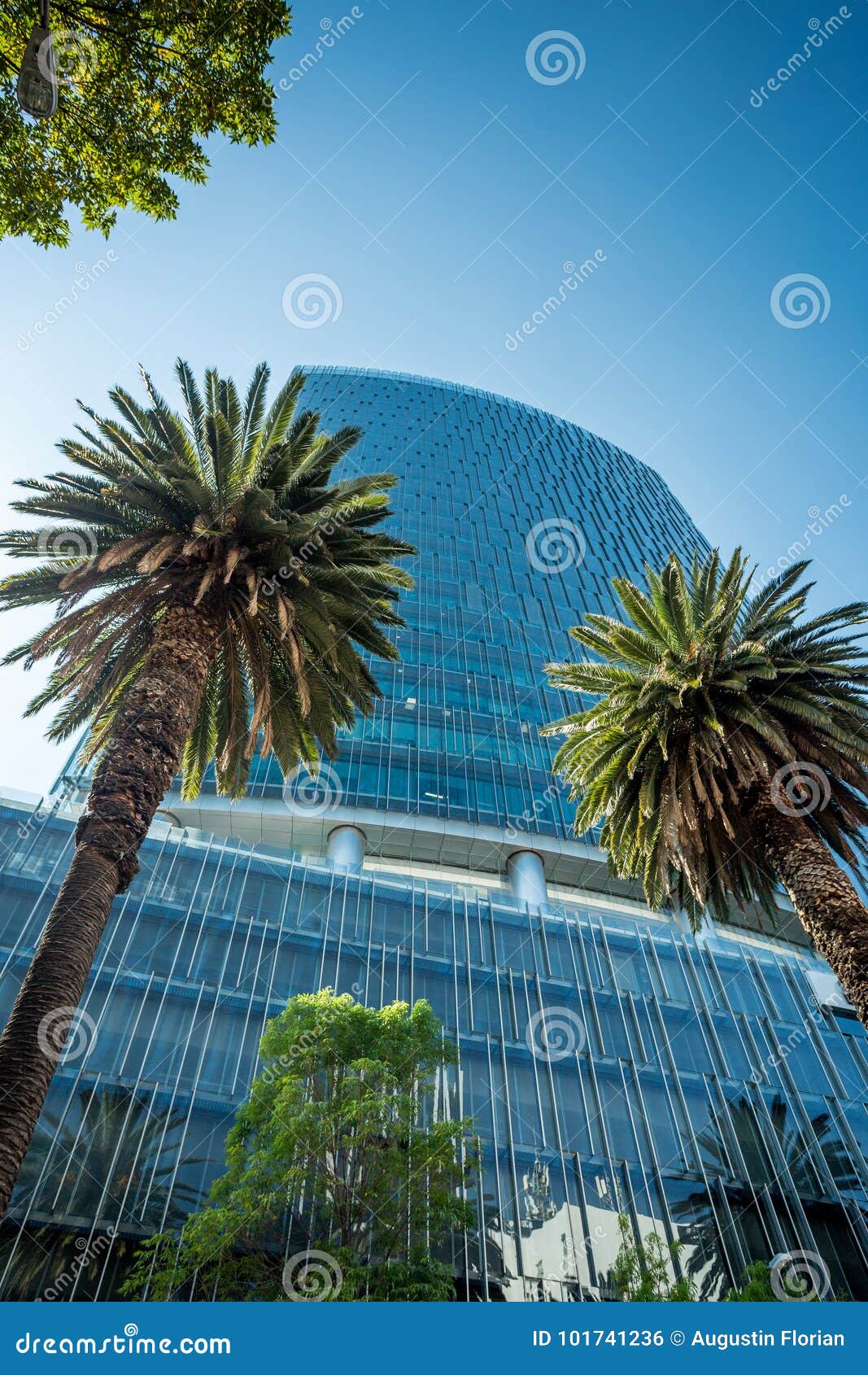 Mexico City skyscrapers stock photo. Image of concept - 101741236