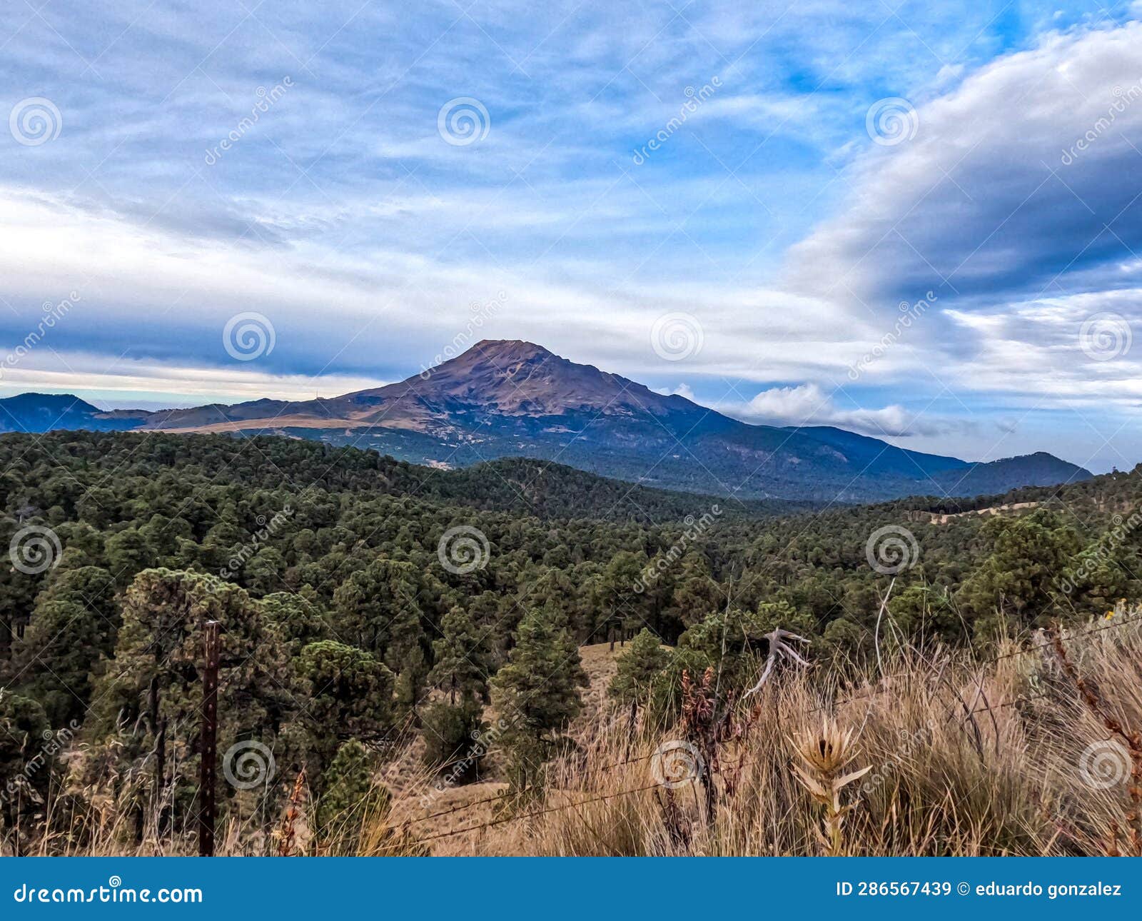 Mexico Iztaccihuatl Volcano Forest Clouds Hike Stock Image - Image of ...