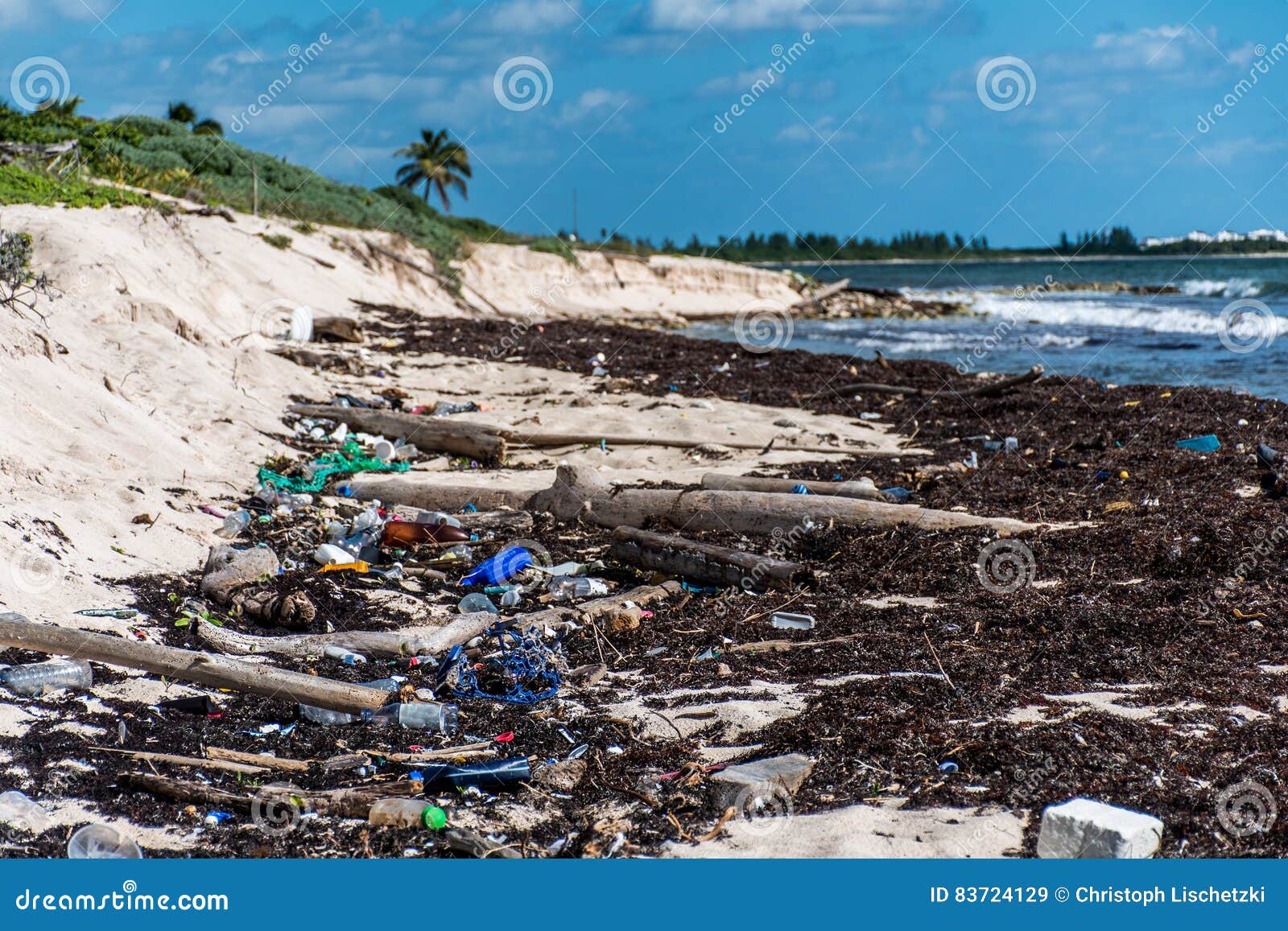 Mexico Ocean Pollution Problem Plastic Litter Stock Image - Image of ...