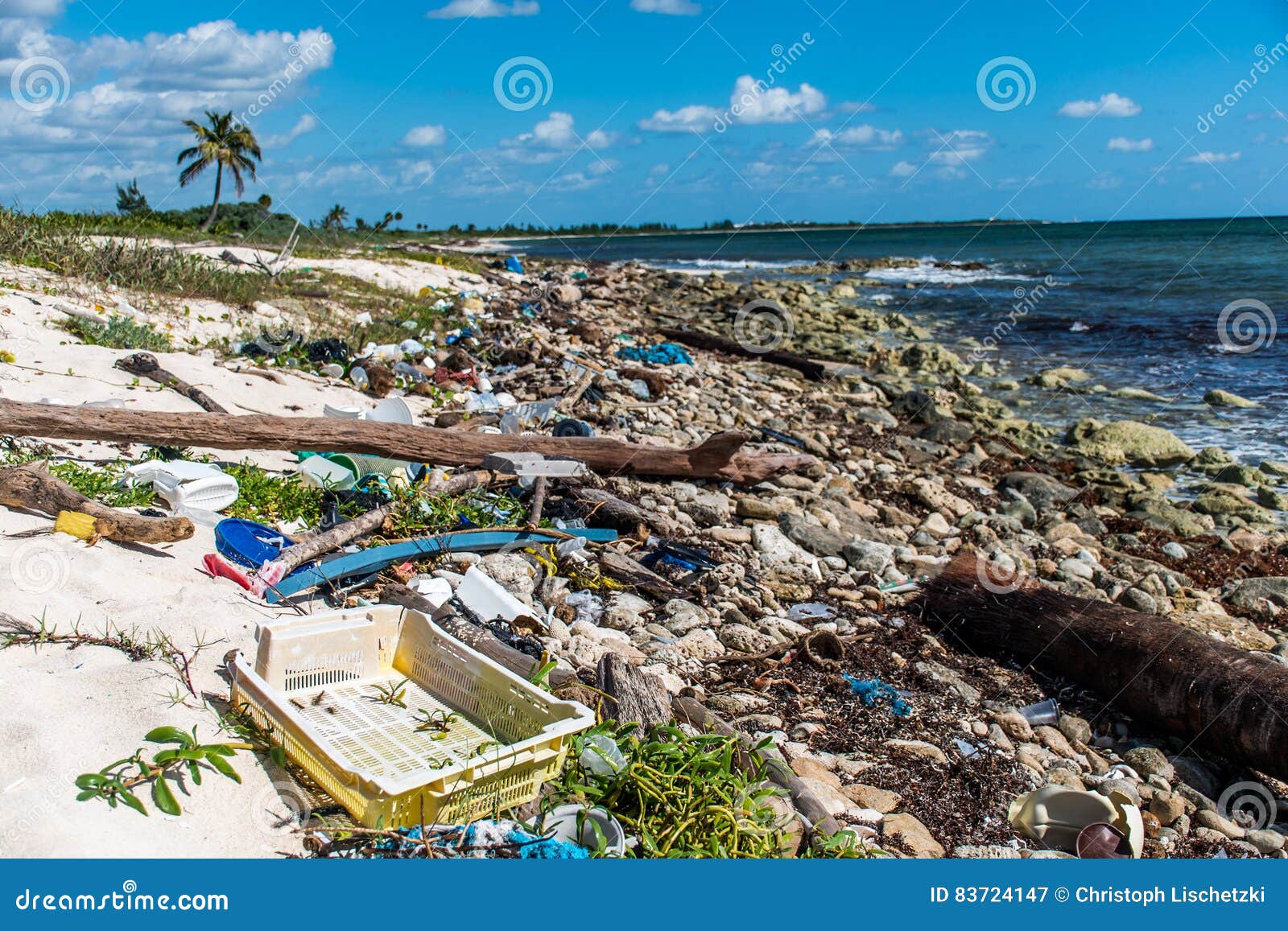 Mexico Ocean Pollution Problem Plastic Litter Stock Image - Image of ...