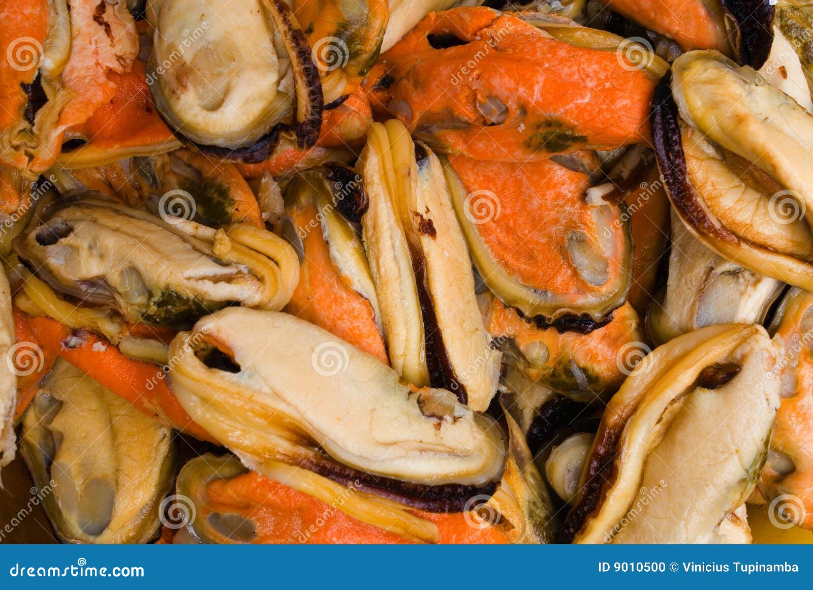 Mexilhão cru foto de stock. Imagem de marisco, animal - 9010500