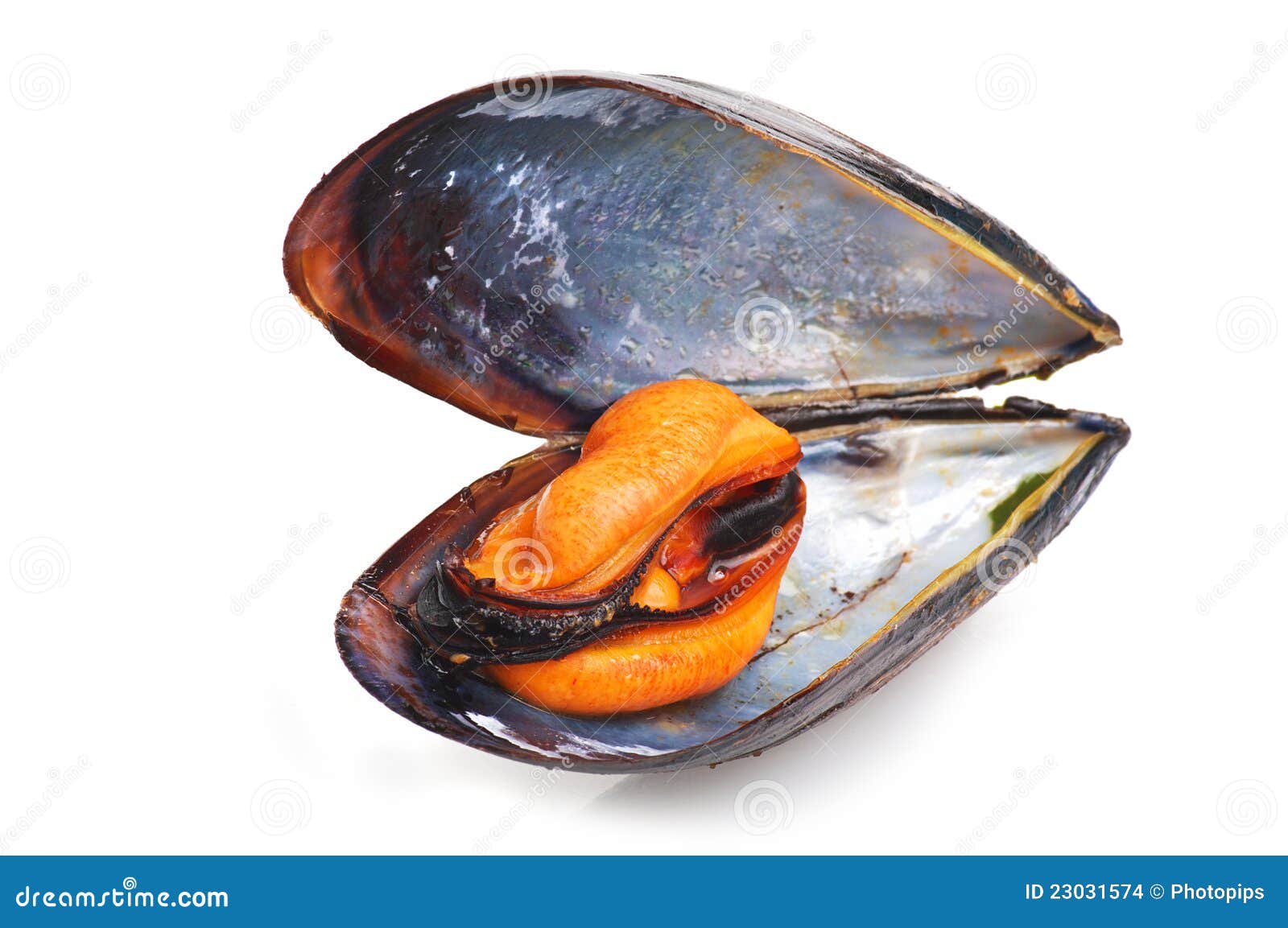 Mexilhão preto foto de stock. Imagem de alimento, coma - 23031574