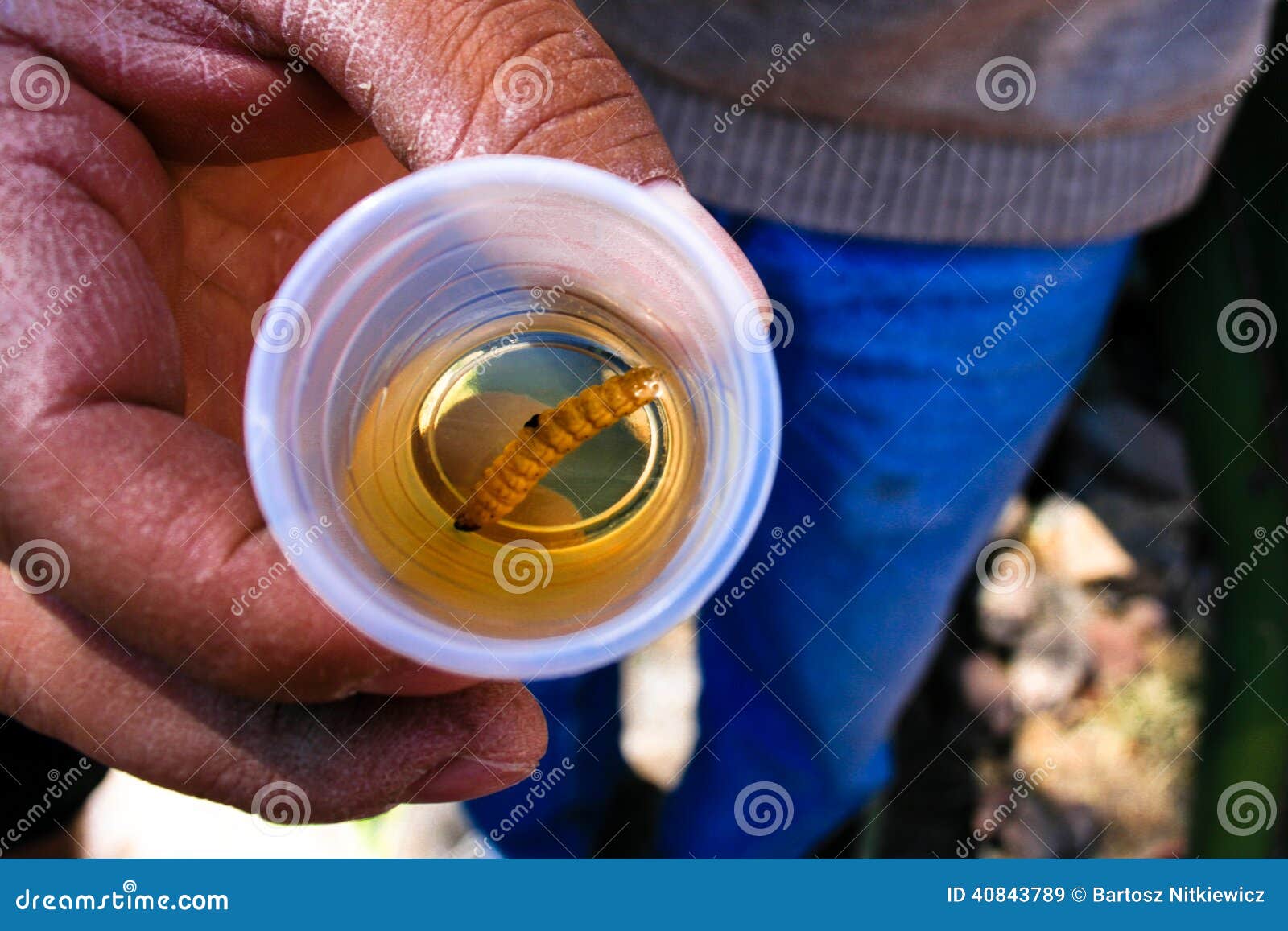 Mezcal stock image. Image of hipopta, latin, mexican - 40843789