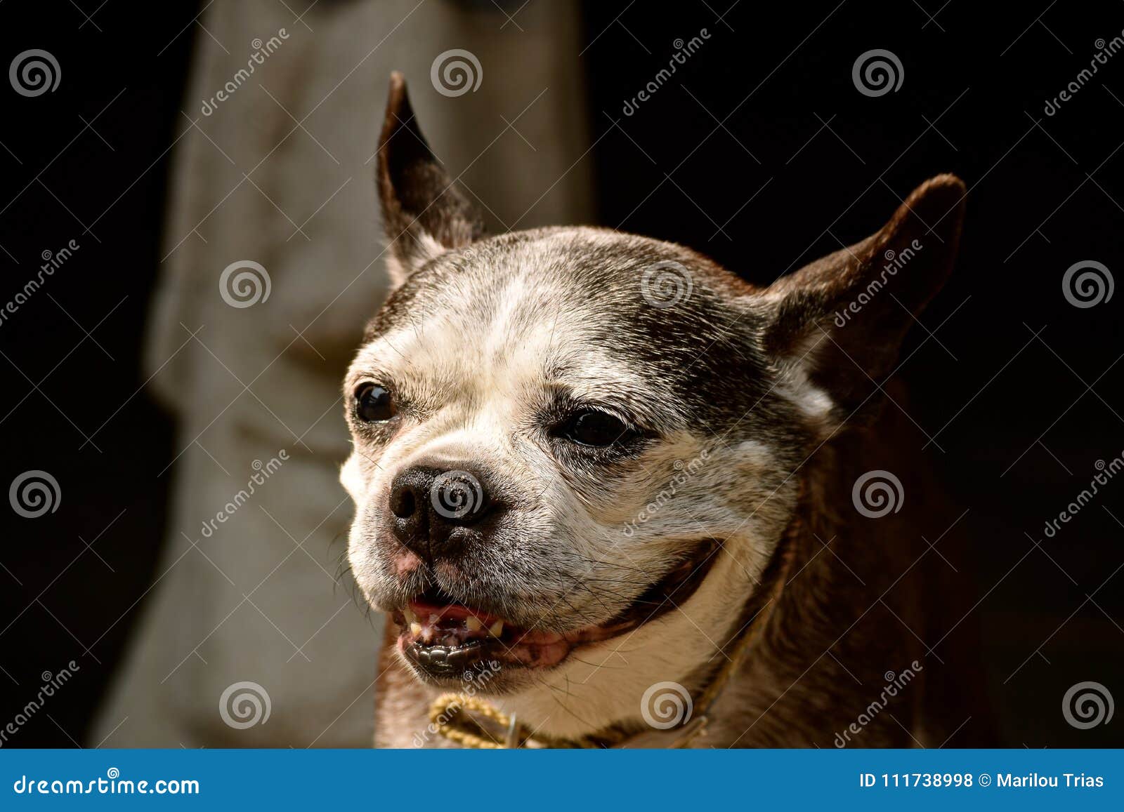 Mezcla de Fenchie foto de archivo. Imagen de maduro - 111738998