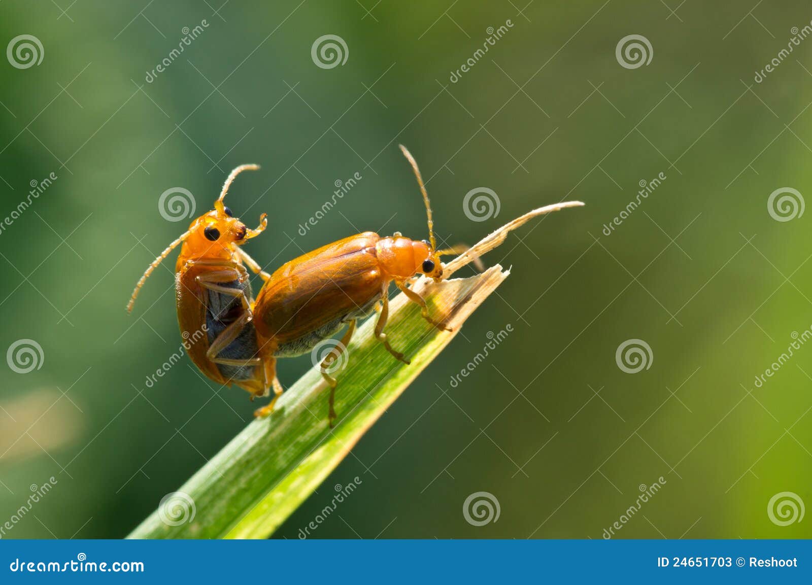 Mezcla Del Fallo De Funcionamiento Junto Imagen de archivo - Imagen de ...