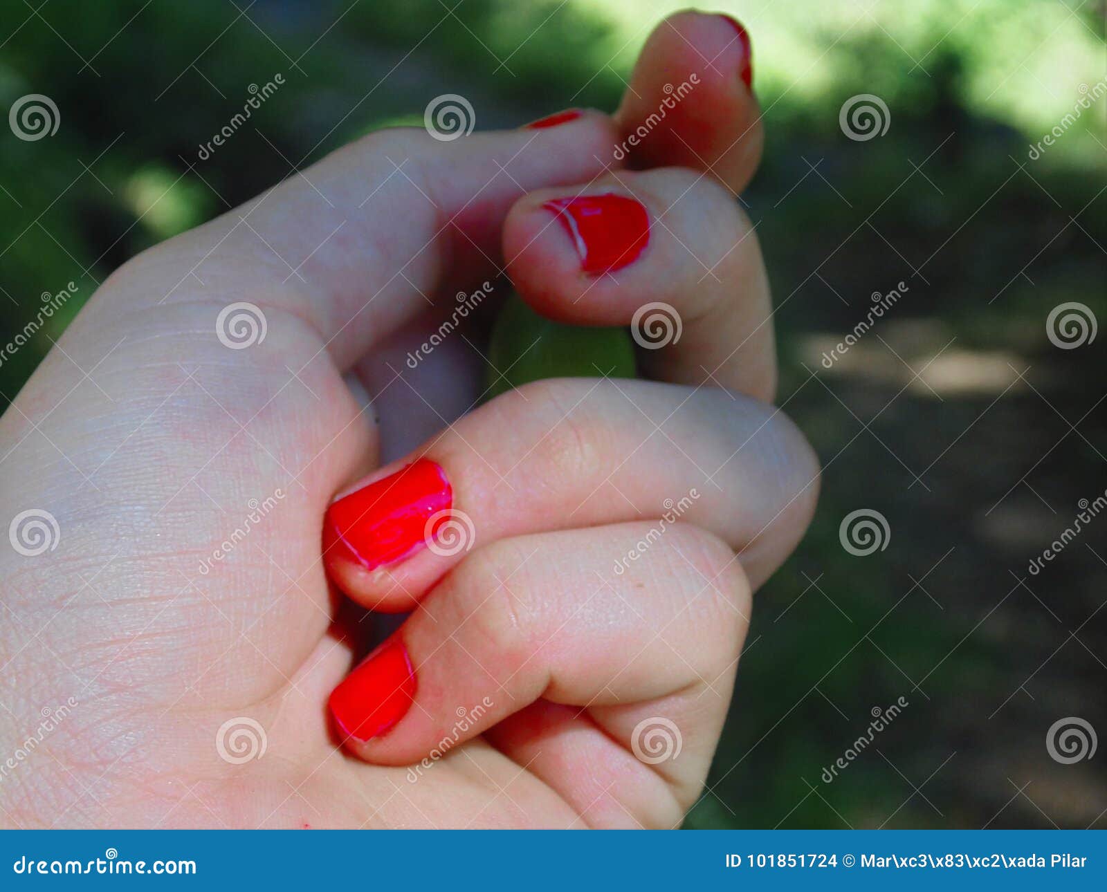 Mi hand stock photo. Image of nature, mano, choose, like - 101851724