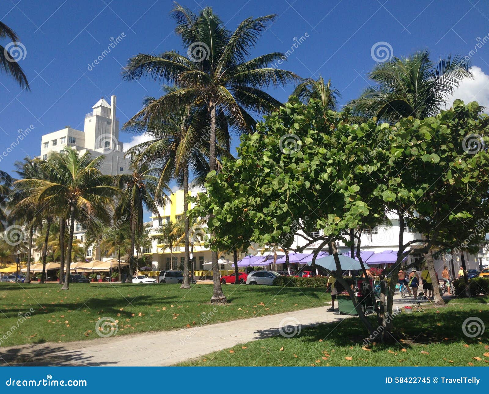 Miami Beach boulevard stock image. Image of nature, florida - 58422745