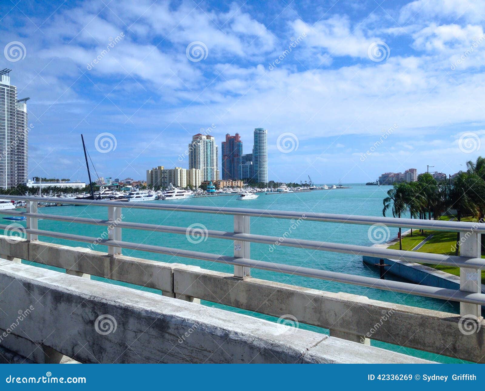 Miami Beach Bridge editorial stock image. Image of buildings - 42336269