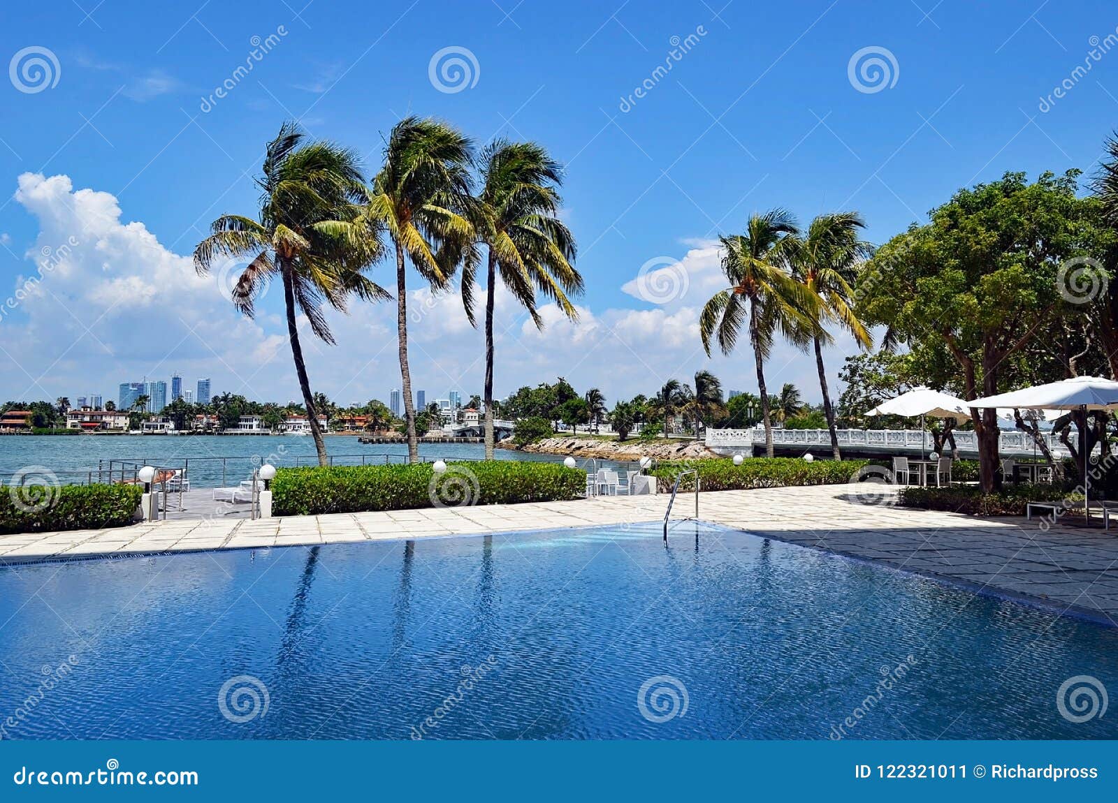 Miami Beach Condominium Swimming Pool Stock Image - Image of infinity ...