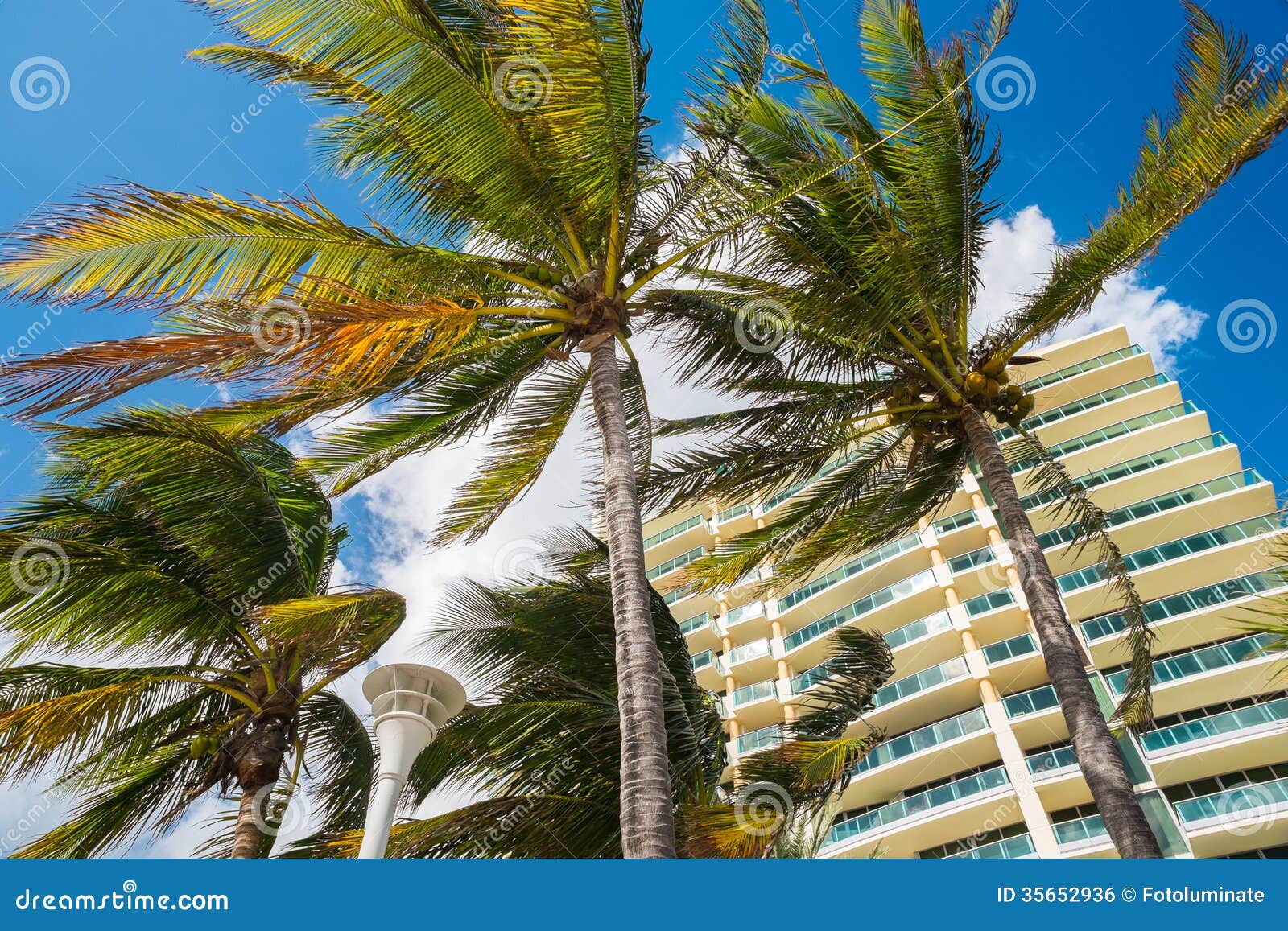 Miami Beach stock photo. Image of drive, condo, blue - 35652936