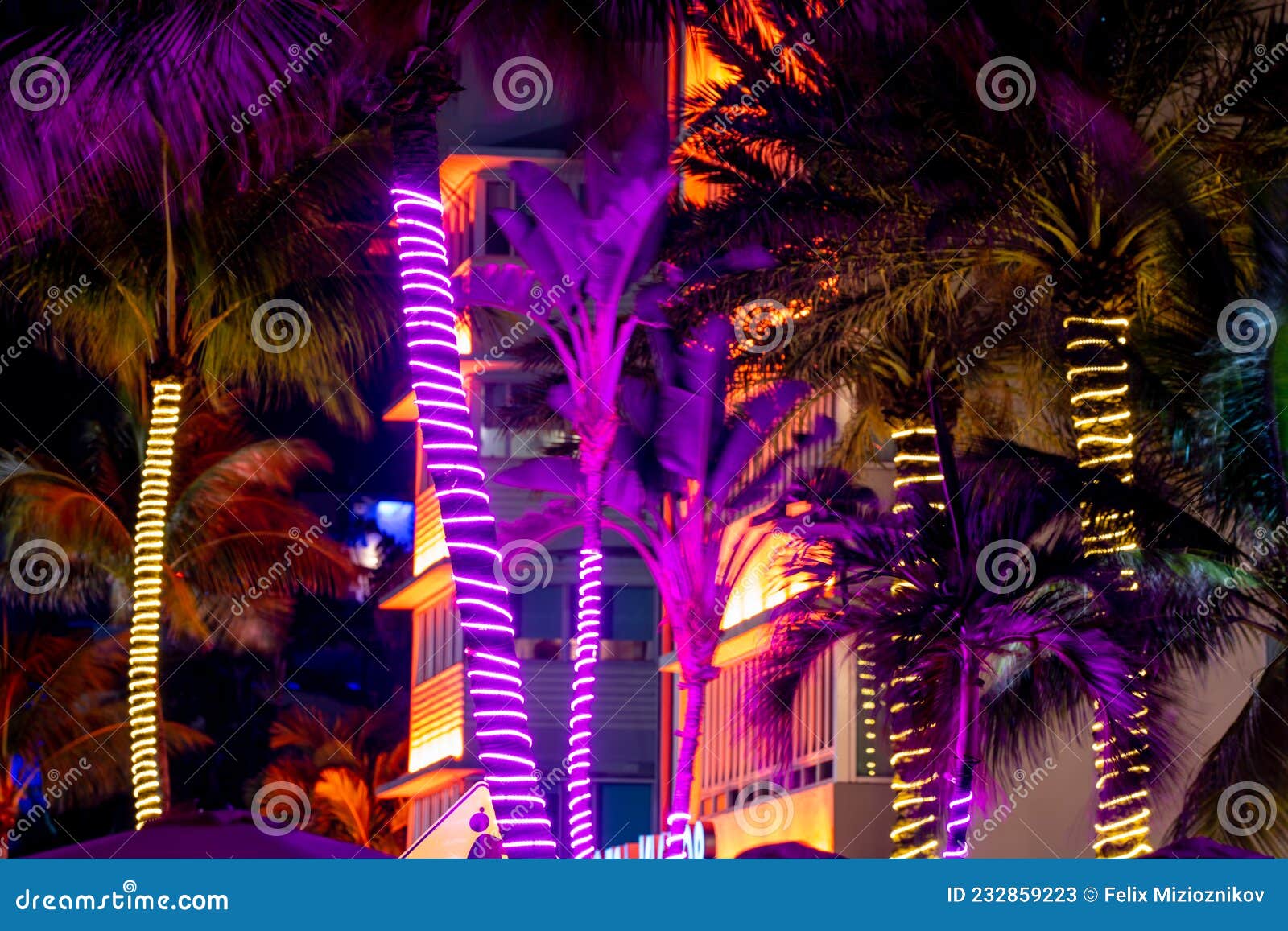 Miami Beach Scene at Midnight Stock Image - Image of night: 232859223