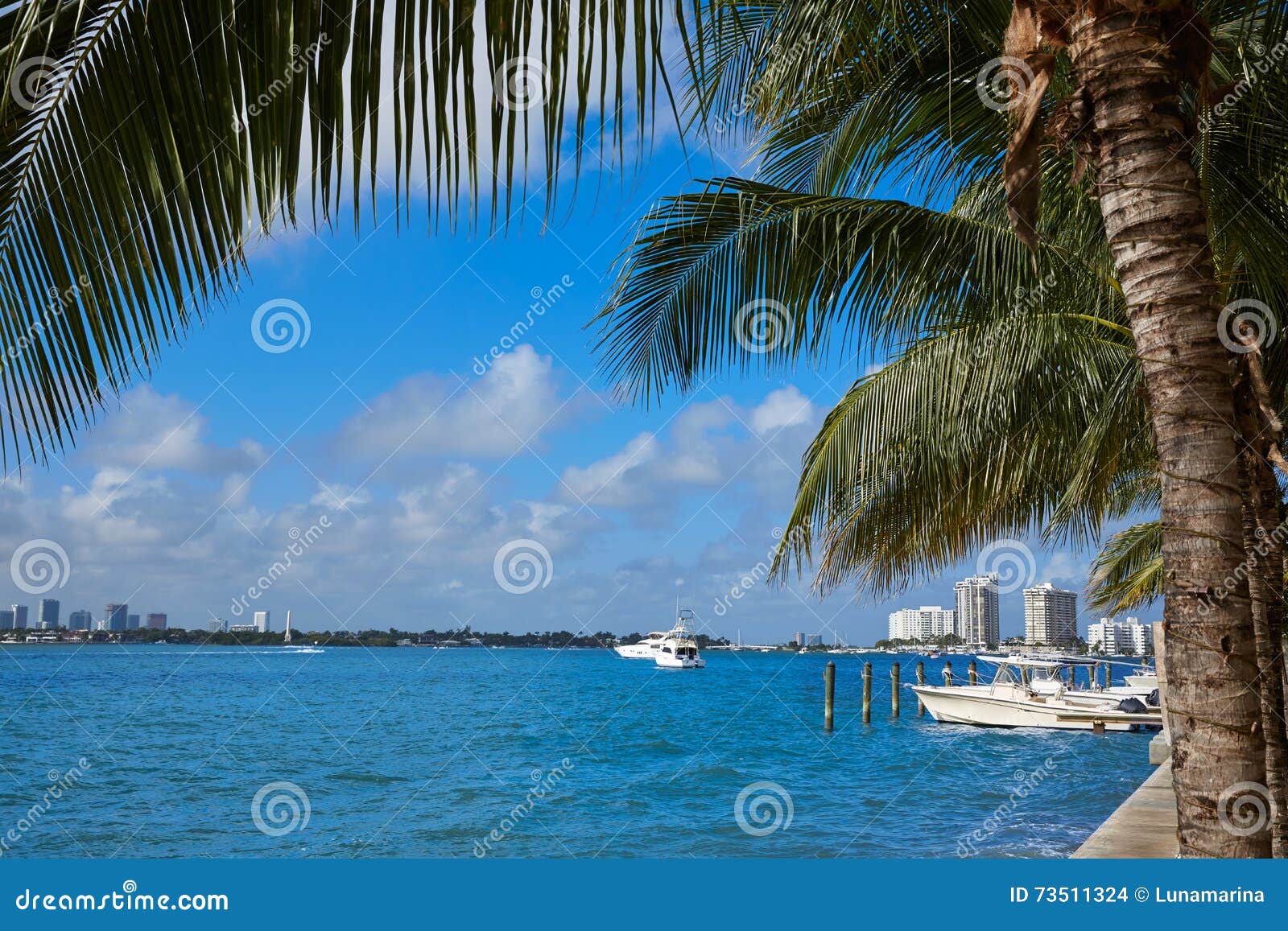 Miami Beach Von MacArthur-Damm Florida Stockfoto - Bild von miami ...