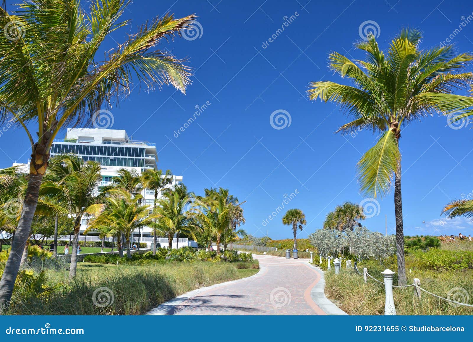 Miami Beach walkway stock image. Image of nature, beach - 92231655