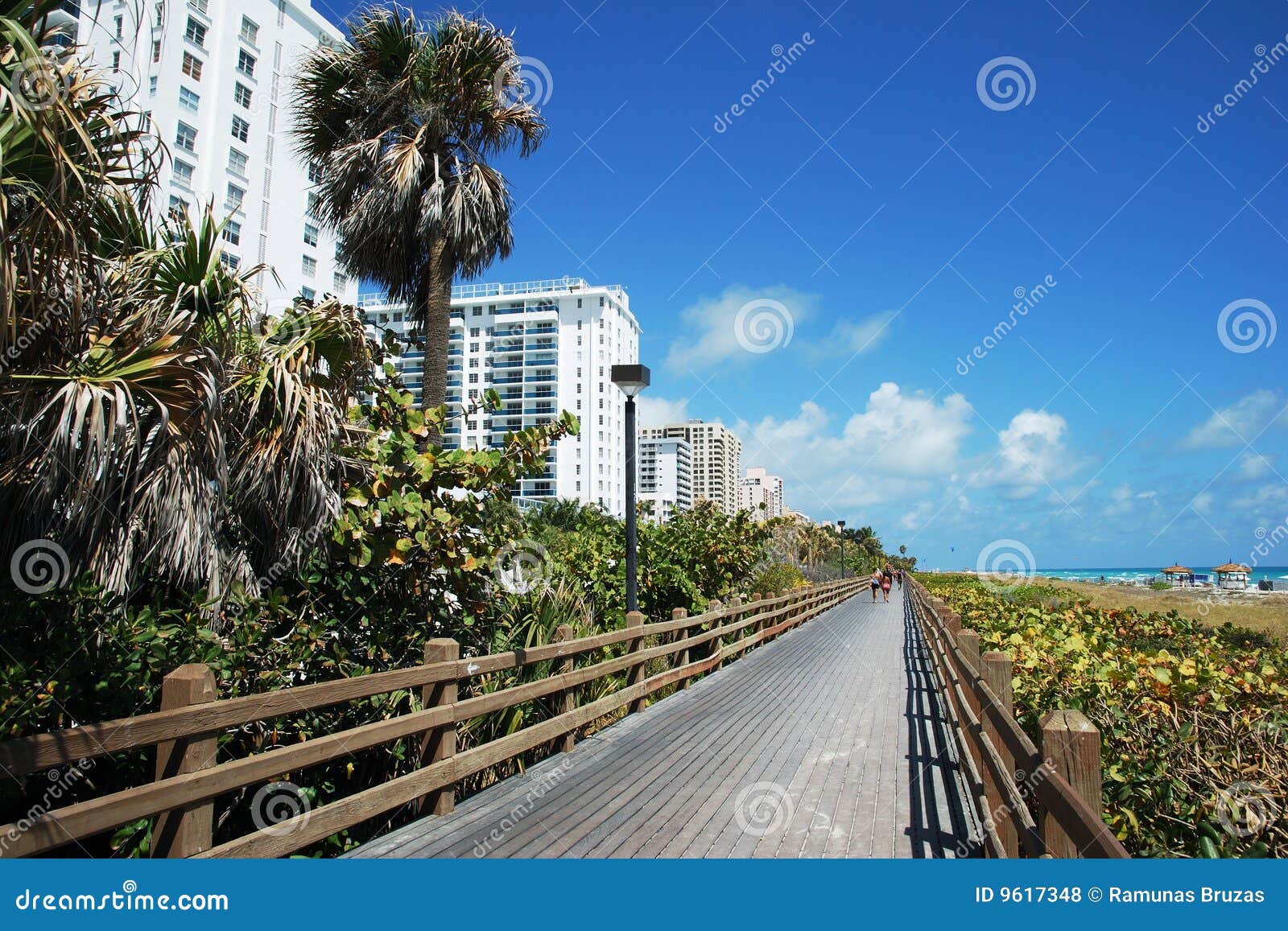 Miami Boardwalk stock photo. Image of trees, walking, boardwalk - 9617348