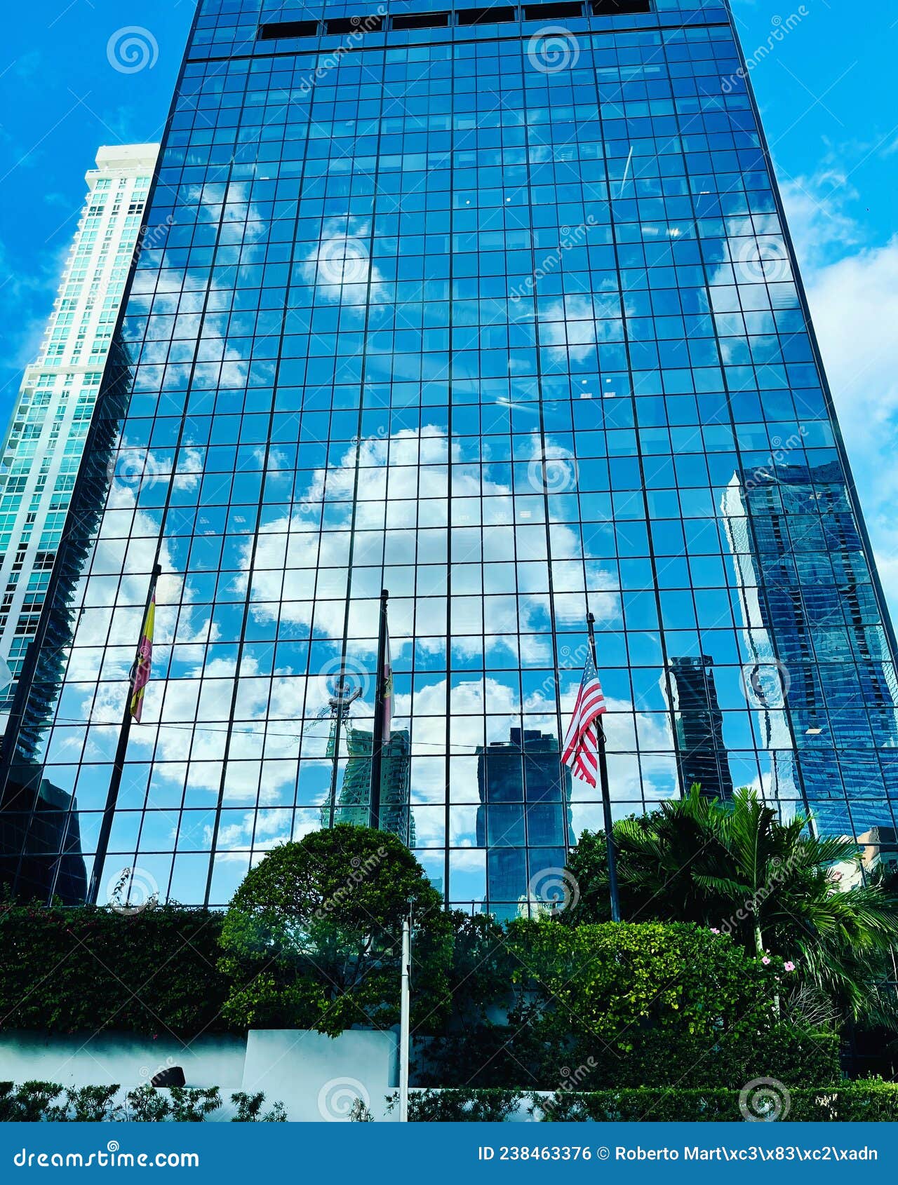 Miami buildings stock photo. Image of city, miami, downtown - 238463376