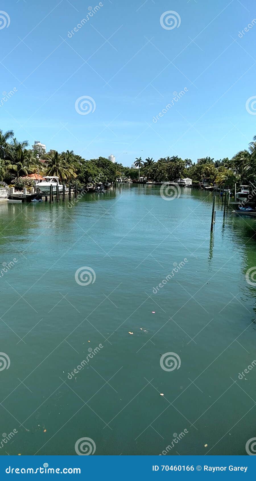 Miami canal stock photo. Image of waterway, biscayne - 70460166