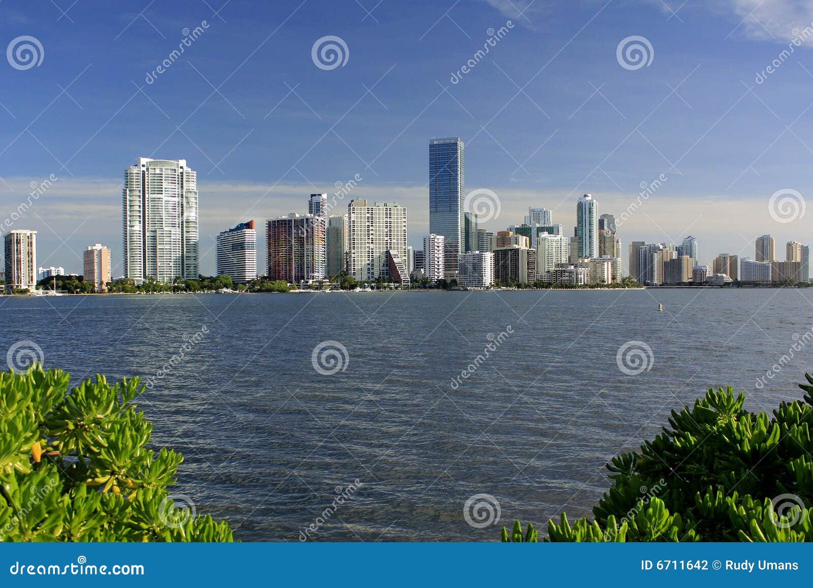 Miami Cityscape stock photo. Image of cityscape, buildings - 6711642