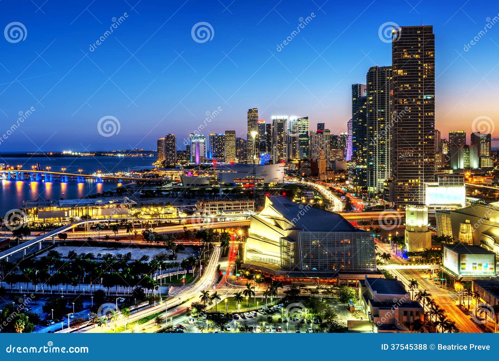 Miami Cityscape Night