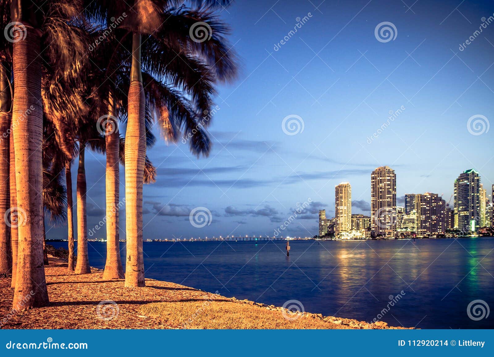 Miami Florida Skyline and Palm Trees Stock Photo - Image of destination ...