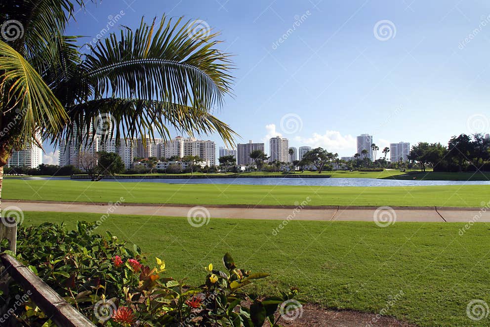 Miami Golf Course stock photo. Image of tropical, lake - 13047222