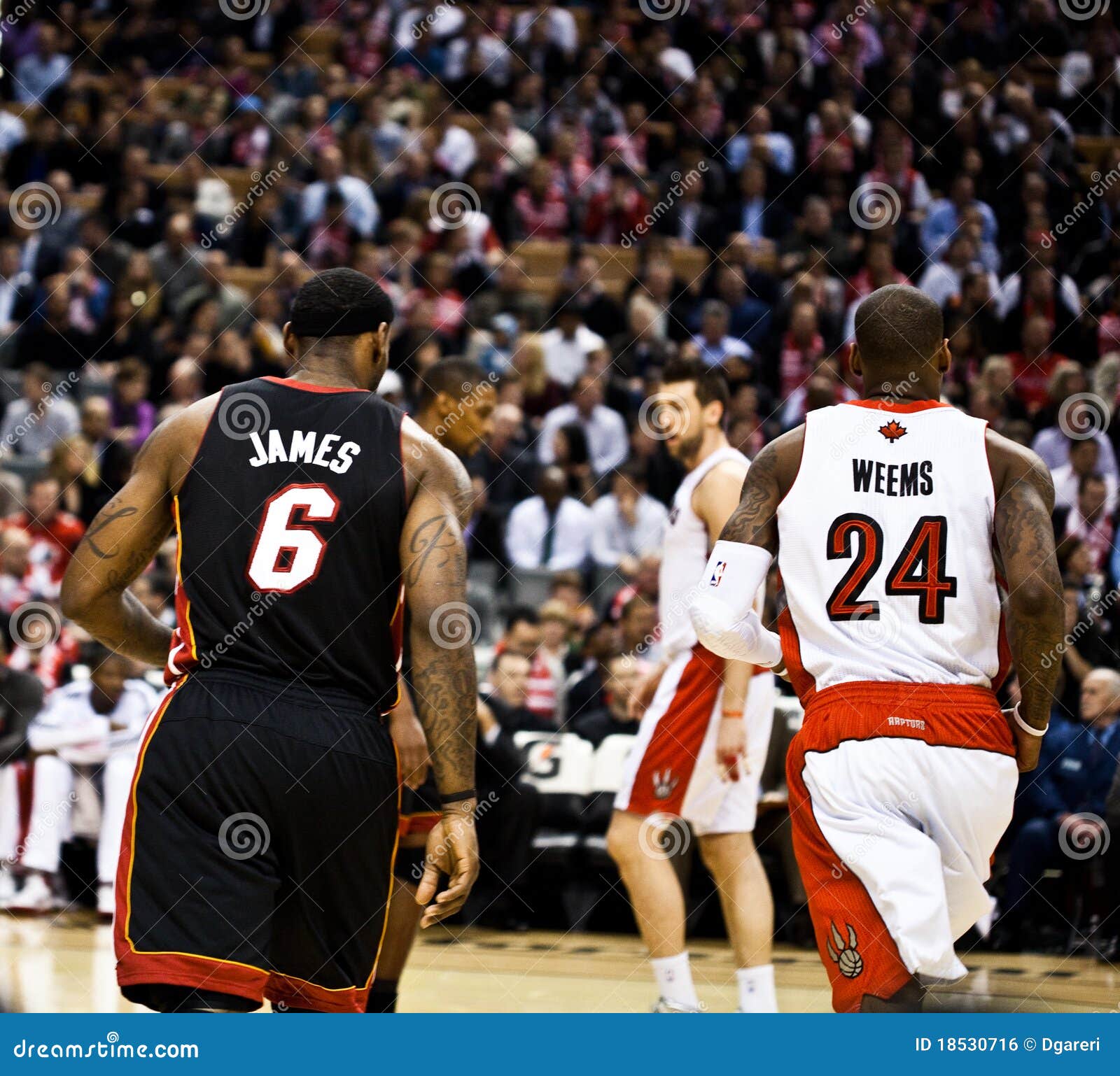 Miami Heat Vs. Toronto Raptors Editorial Photo - Image of slam, arena ...