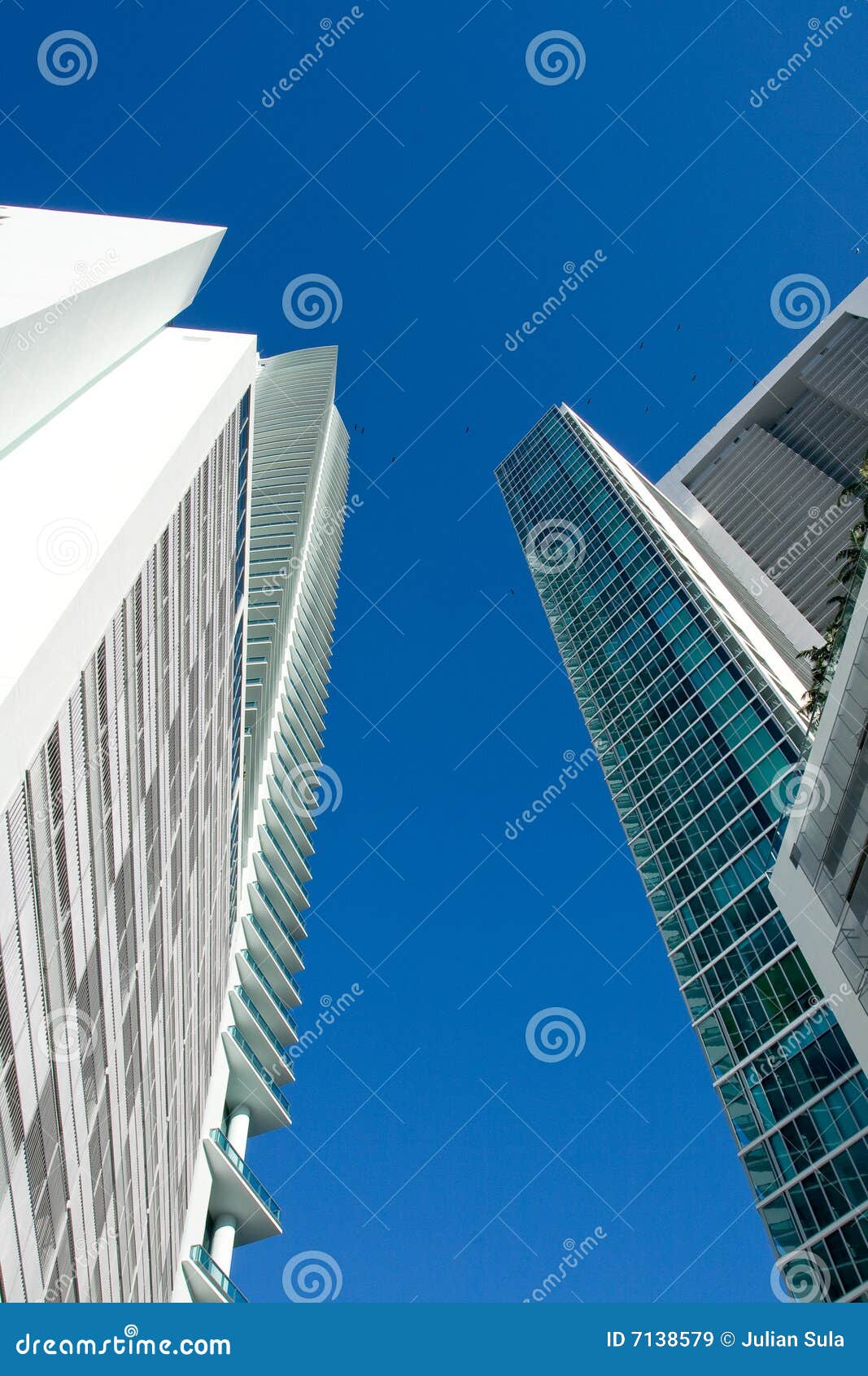 Miami High Rise Building stock image. Image of blue, cityscape - 7138579