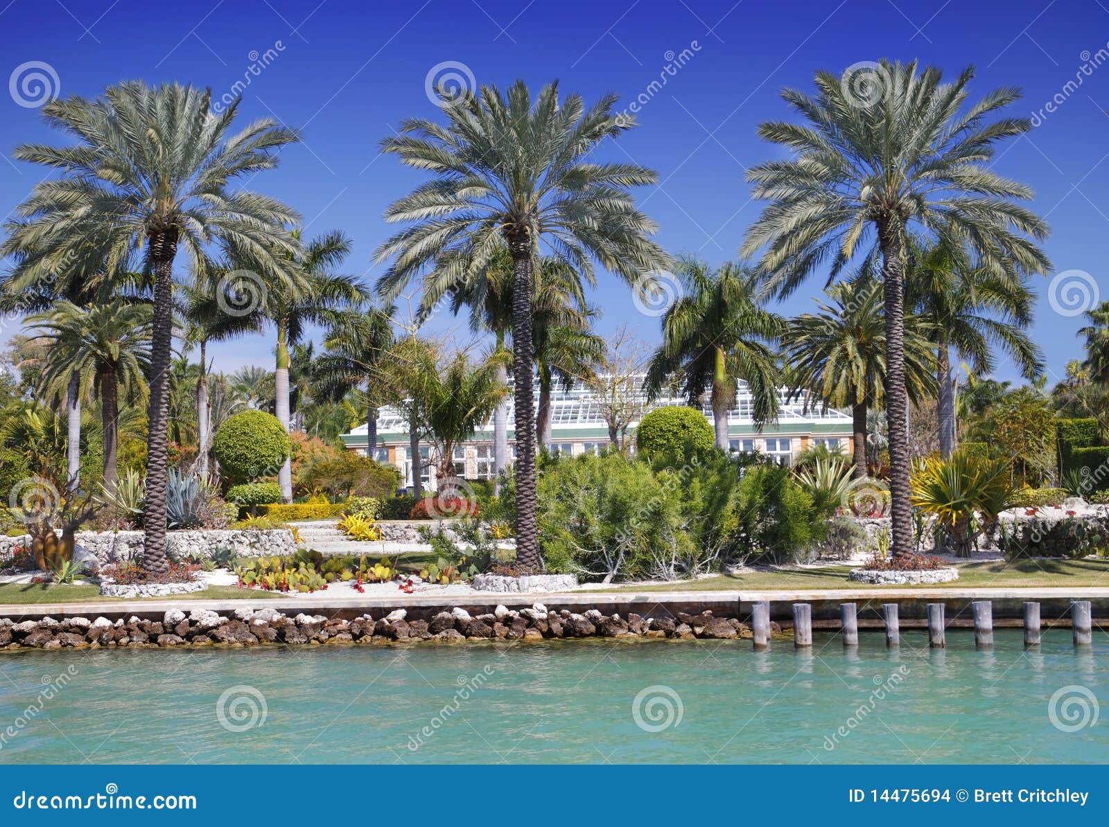 Miami Home stock photo. Image of palm, front, blue, luxury - 14475694