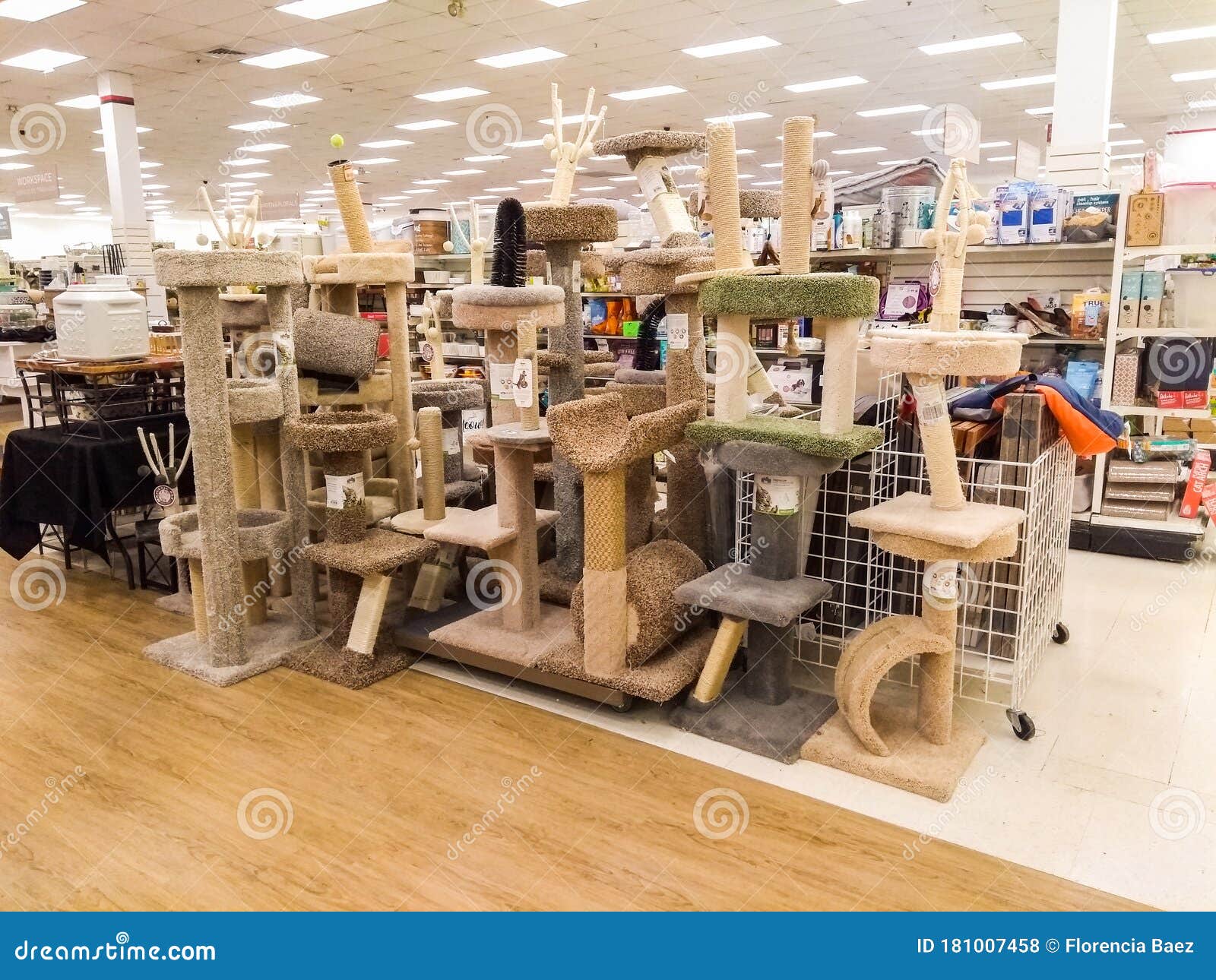 Miami. July 23, 2019: Interior of a Shopping Mall in the Pet Section ...