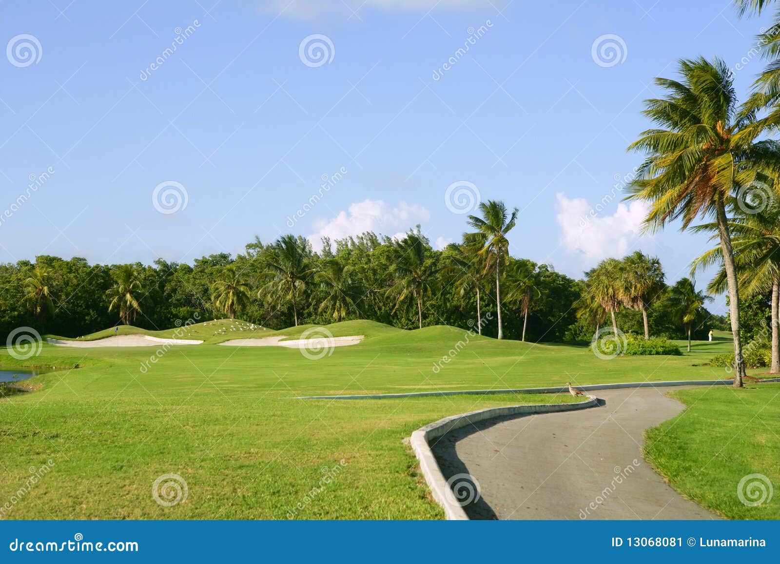 Miami Key Biscayne Golf Tropical Field Stock Image - Image of golf ...