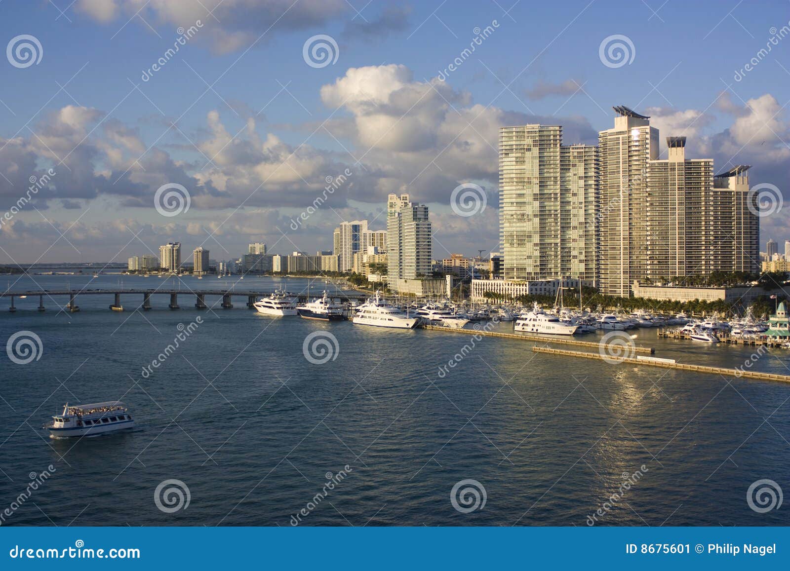 Miami luxury harbor stock image. Image of view, summer - 8675601