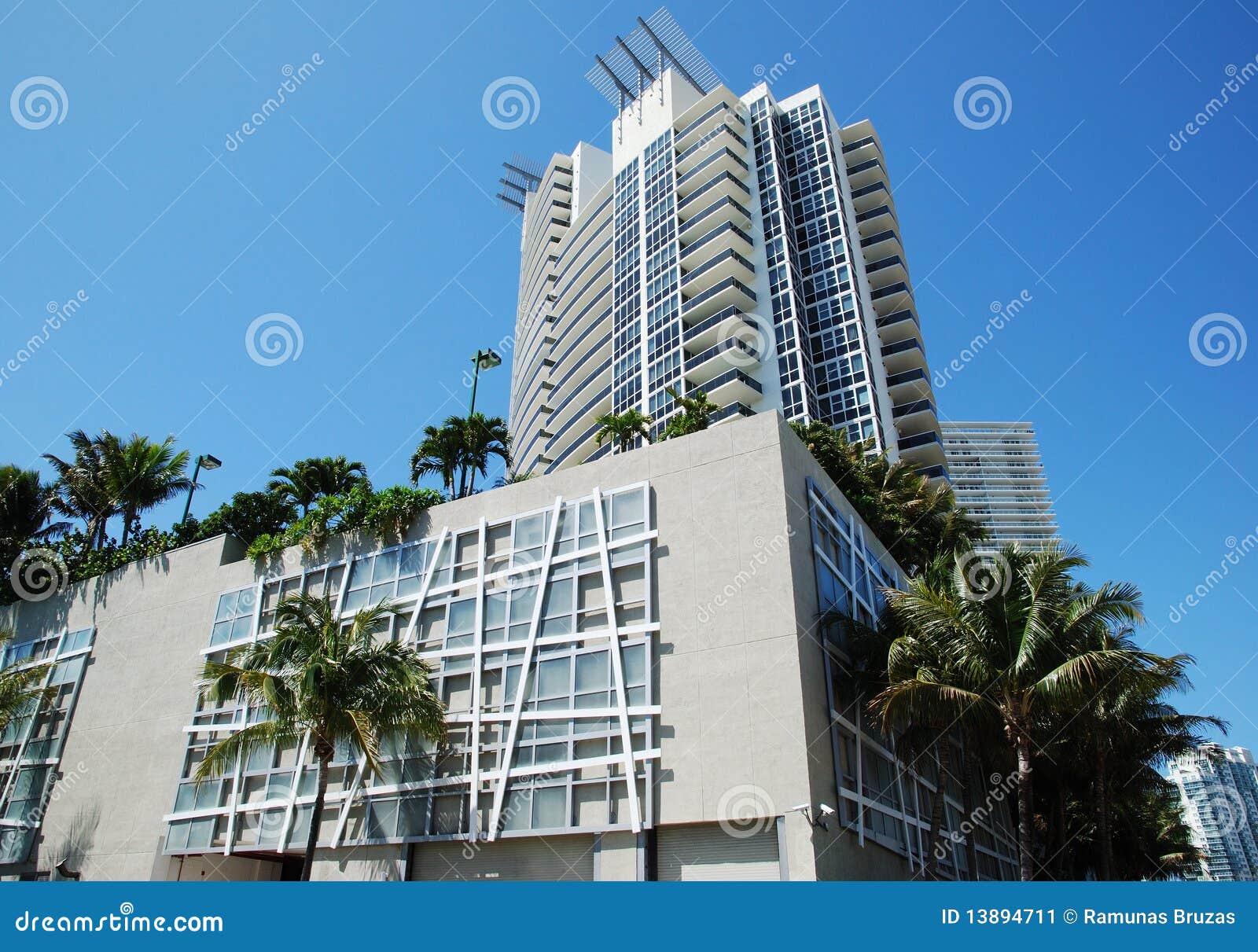 Miami Modern Style stock image. Image of trees, city - 13894711