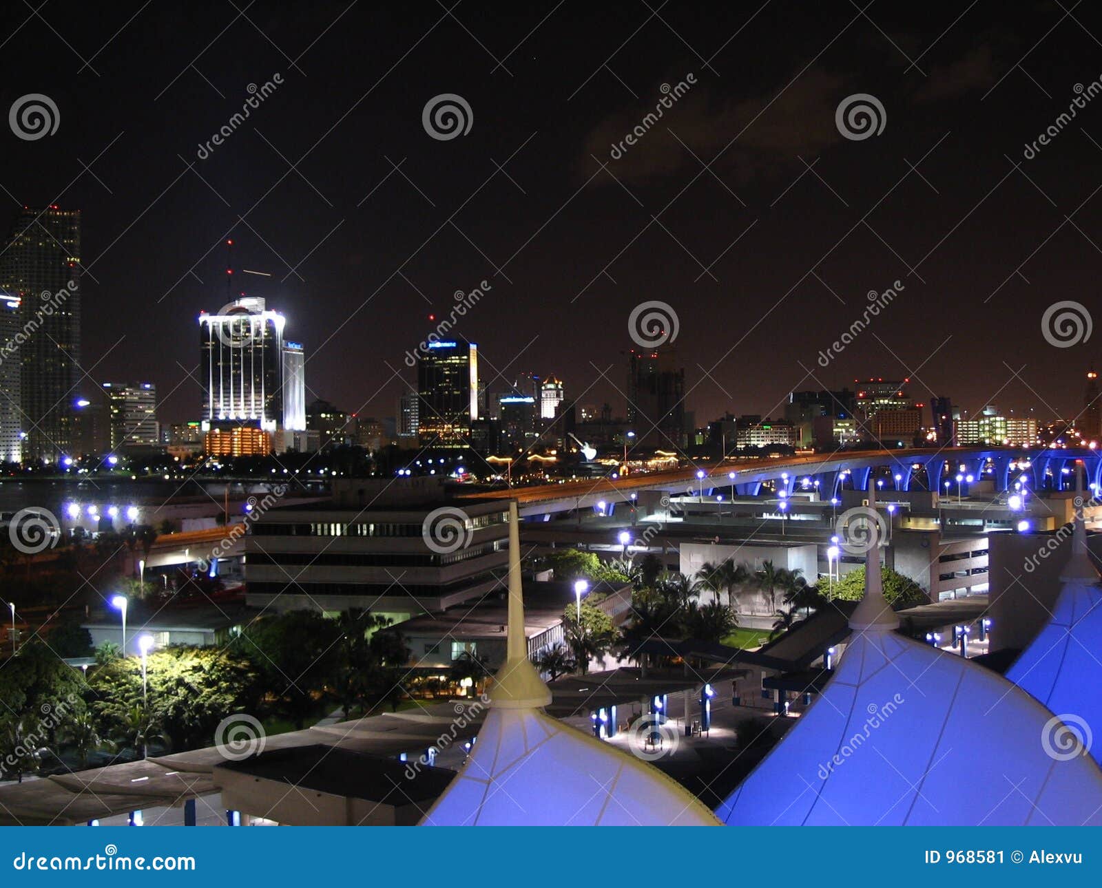 Miami Night Skyline stock image. Image of miami, nightlife - 968581