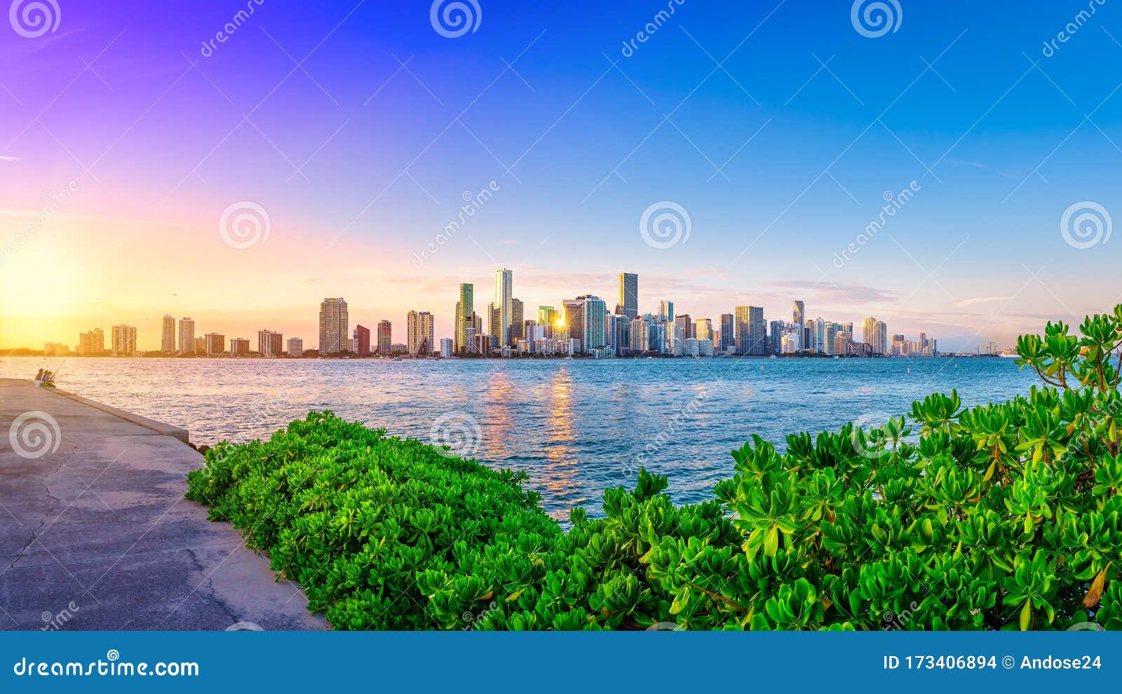 Miami stock photo. Image of scene, florida, famous, cityscape - 173406894