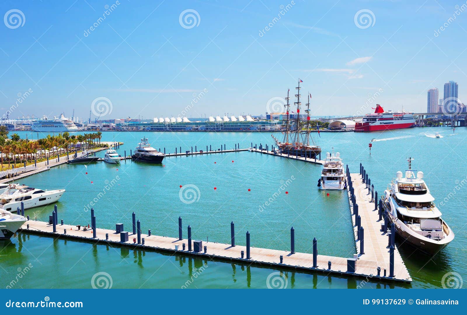 Miami Port image stock. Image du miami, voilier, horizon - 99137629