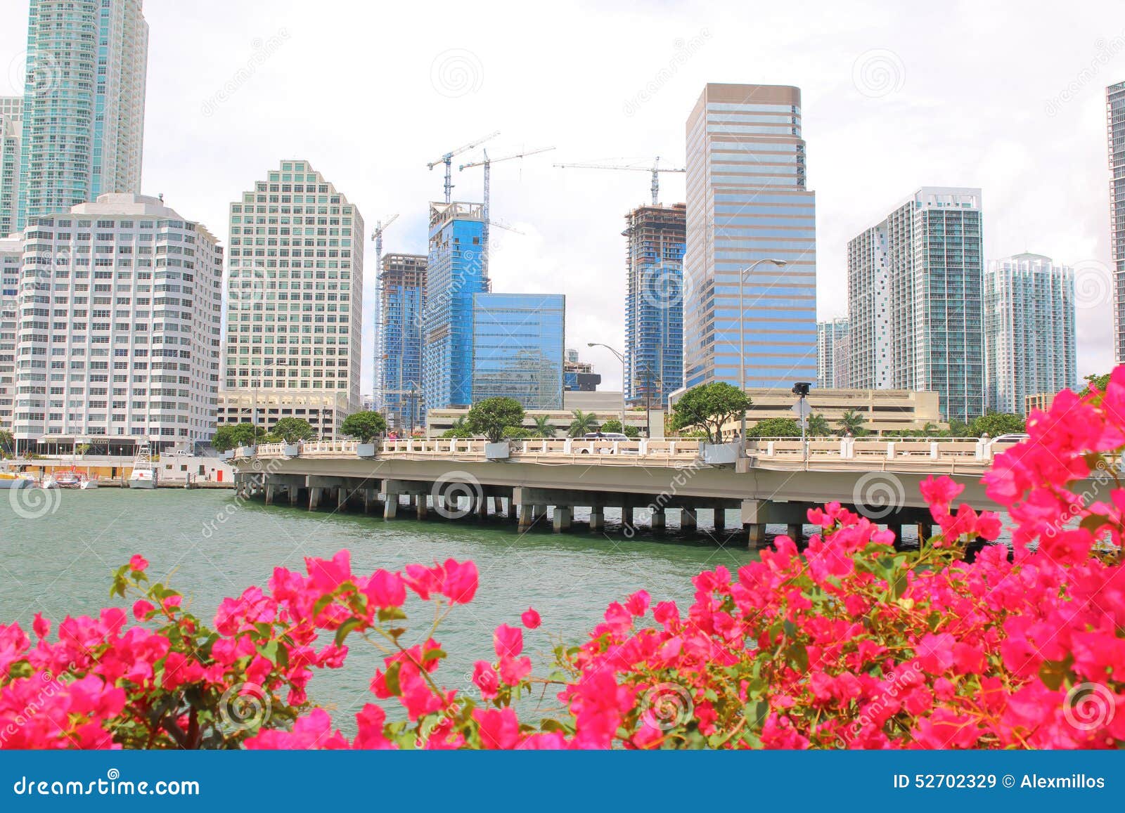 Miami Skyline. Brickell Key Bridge. Stock Image - Image of oceanfront ...