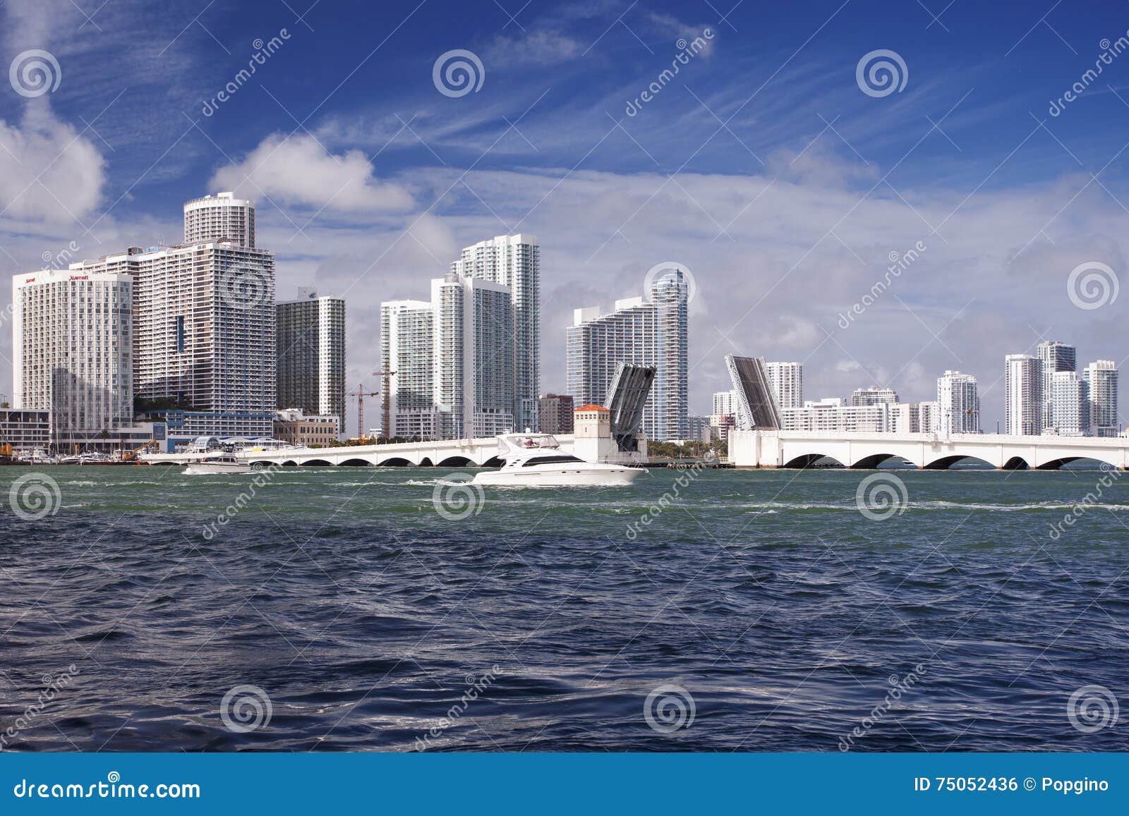 Miami Skyline on a Sunny Day Editorial Photo - Image of adventure ...