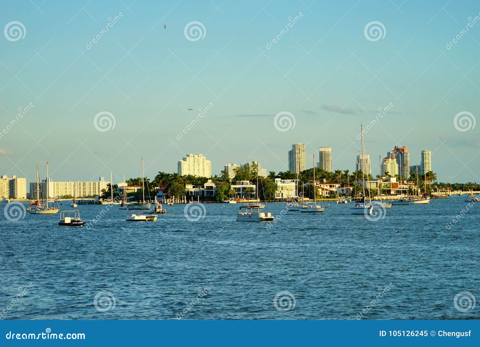 Miami south beach harbor stock image. Image of built - 105126245