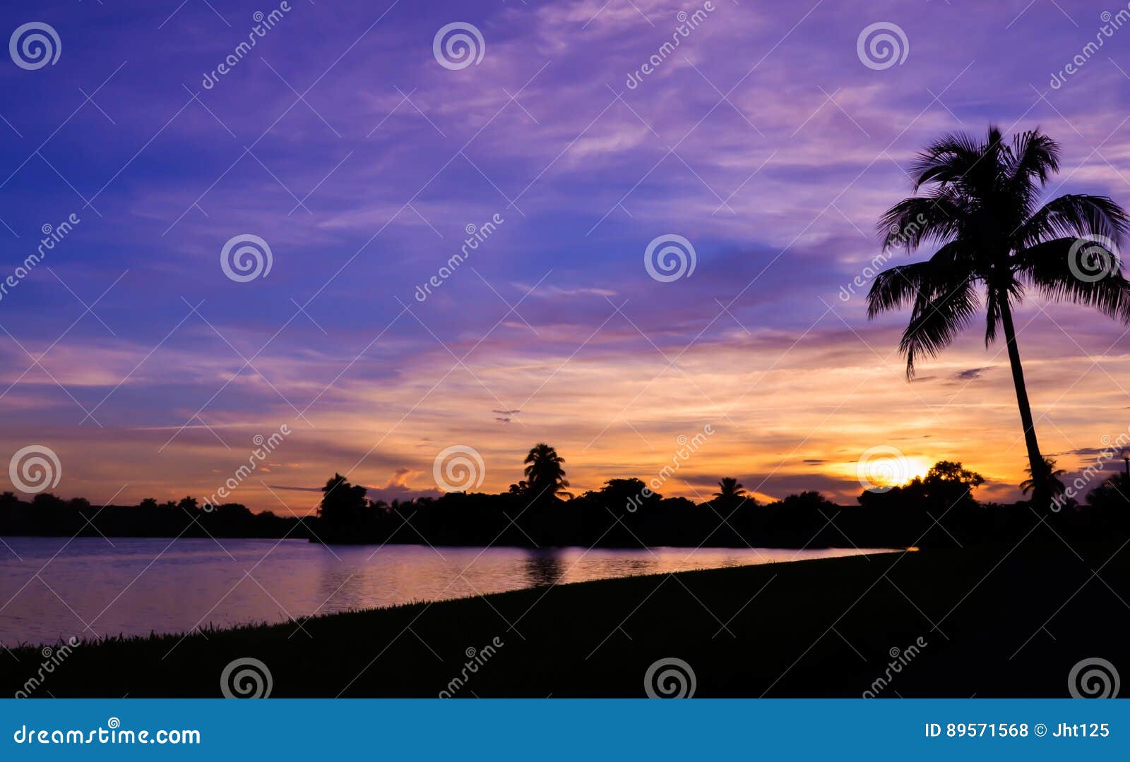 Miami Sunset in Palm Tree Silhouette Stock Photo - Image of joseph ...