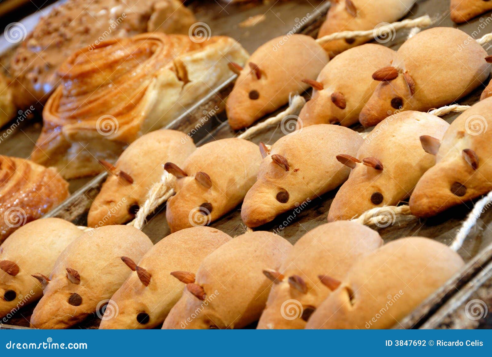 Mice stock photo. Image of sweet, mice, pets, dessert - 3847692
