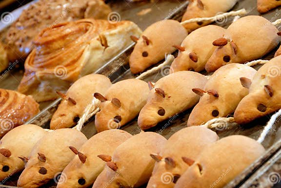 Mice stock photo. Image of sweet, mice, pets, dessert - 3847692
