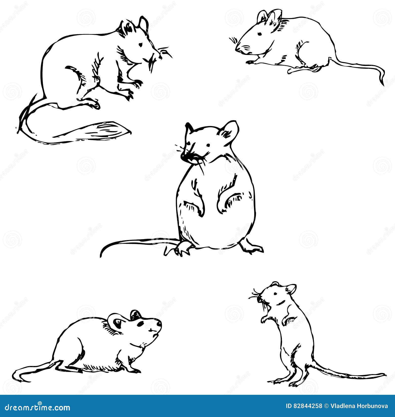 Mice. a sketch by hand stock vector. Illustration of drawn - 82844258