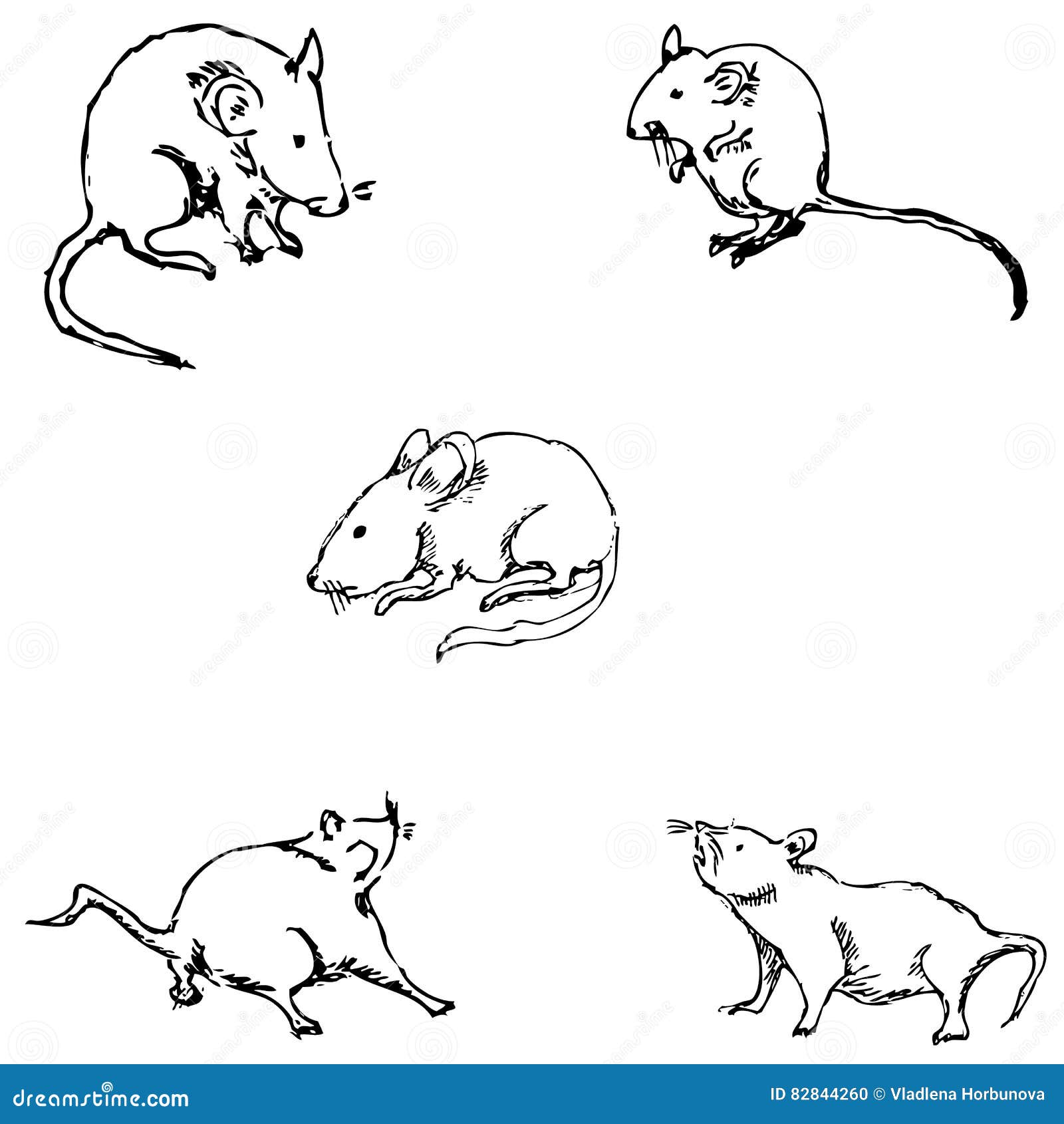 Mice. a sketch by hand stock vector. Illustration of outline - 82844260