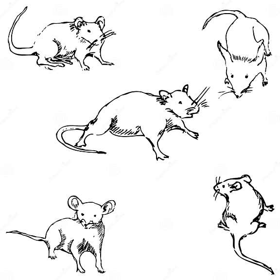 Mice. a sketch by hand stock vector. Illustration of silhouette - 82844563
